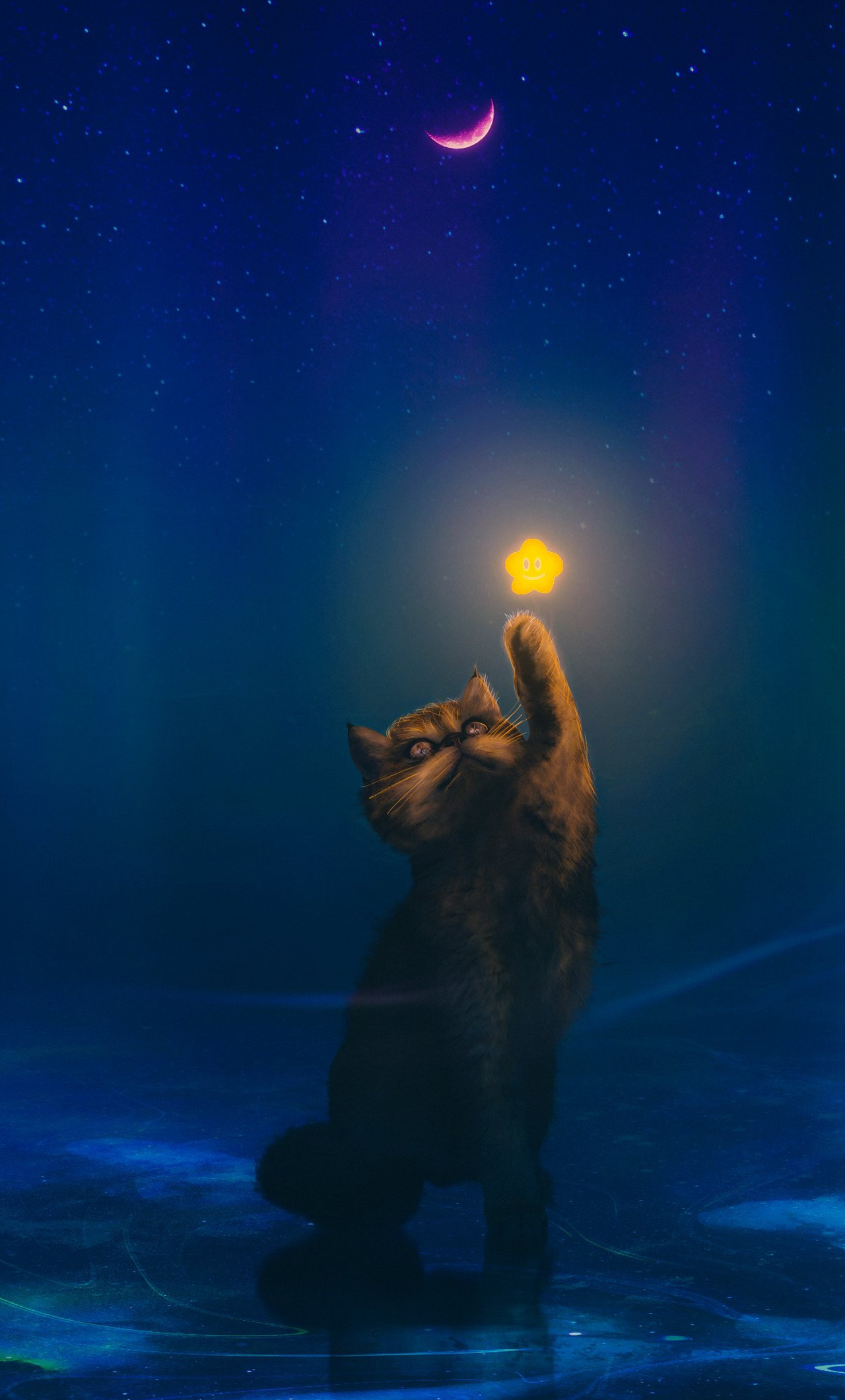 1280x2120 A Charming Cat Reaches For A Cute Star iPhone 6+ ,HD 4k ...