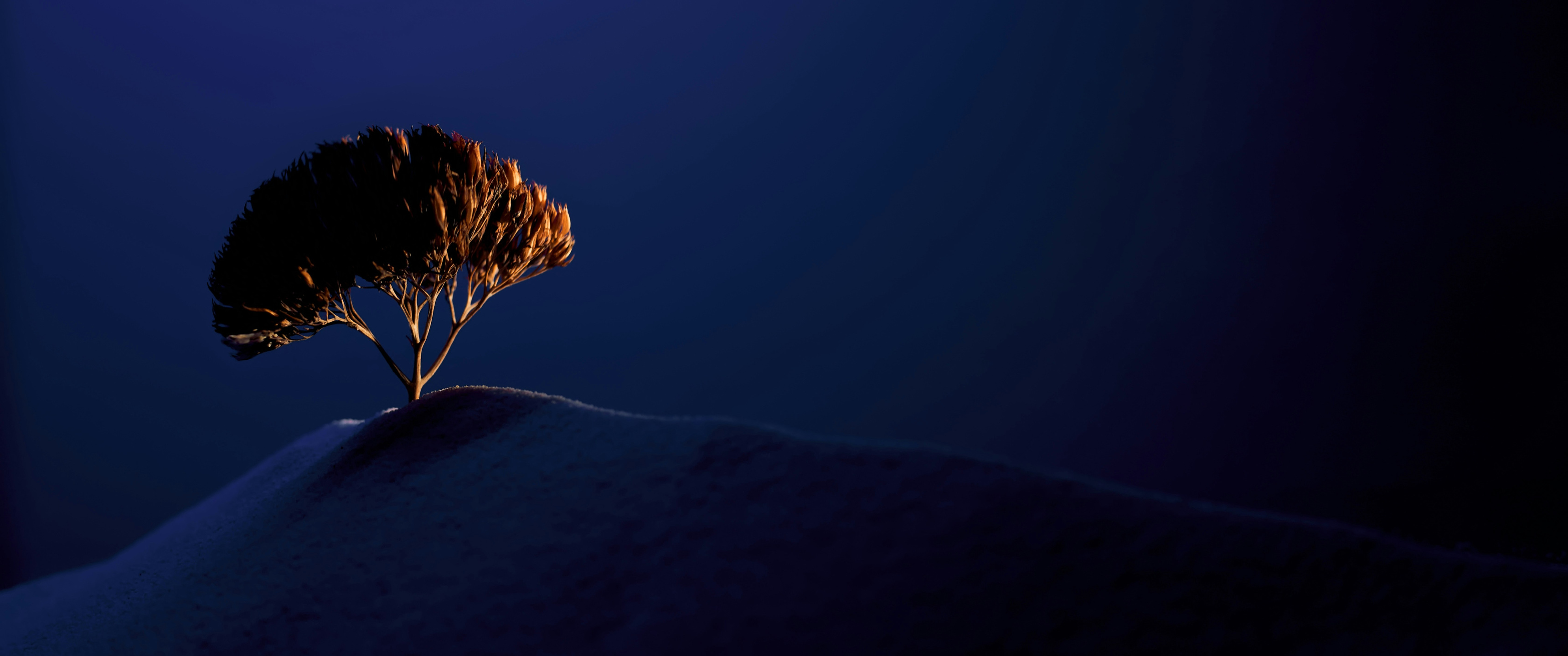 3440x1440 A Lone Tree Sitting On The Top Of Mountains UltraWide Quad HD ...