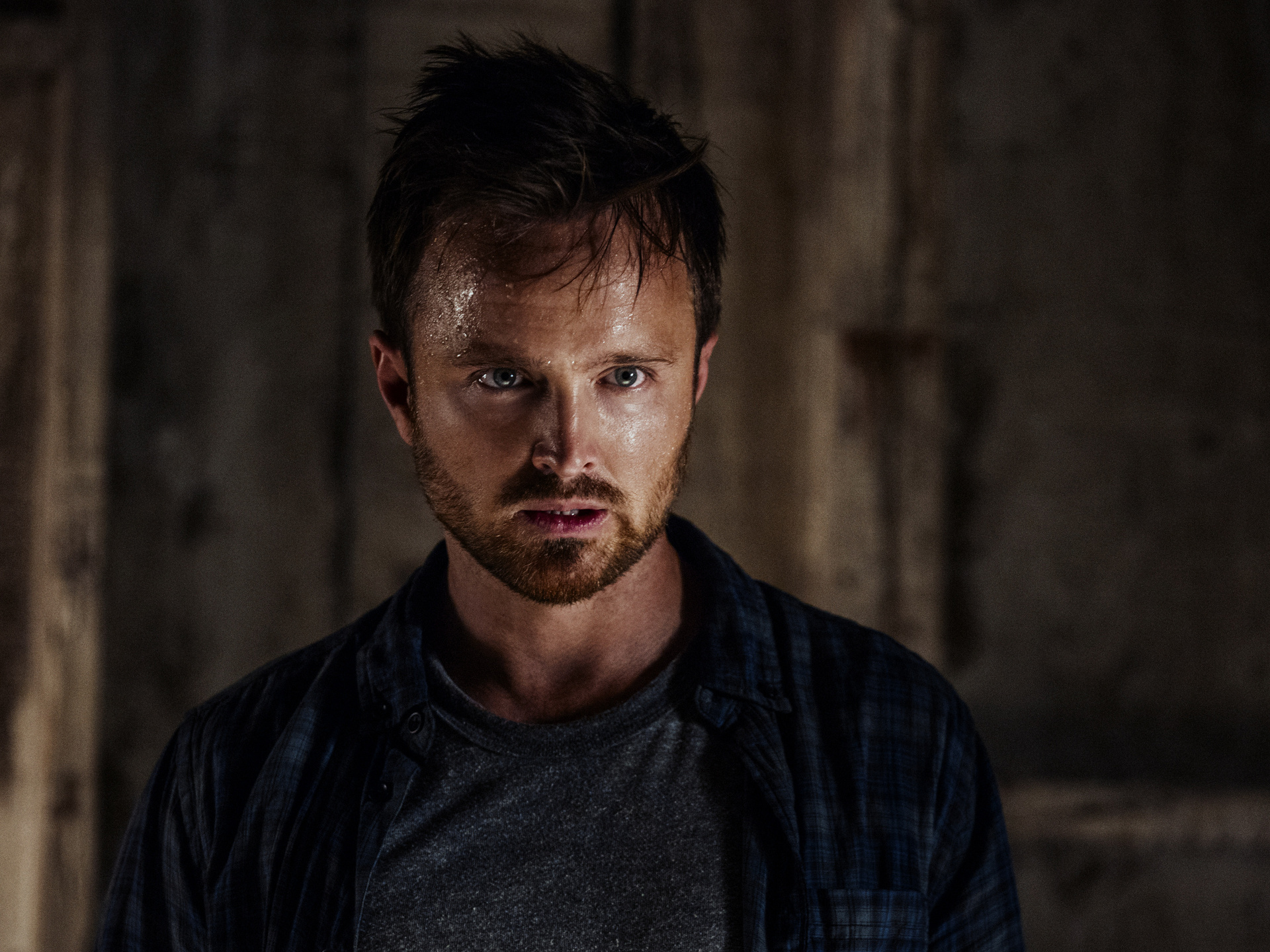 1920x1440 Aaron Paul As Eddie Cleary In The Path Tv Series 1920x1440 ...