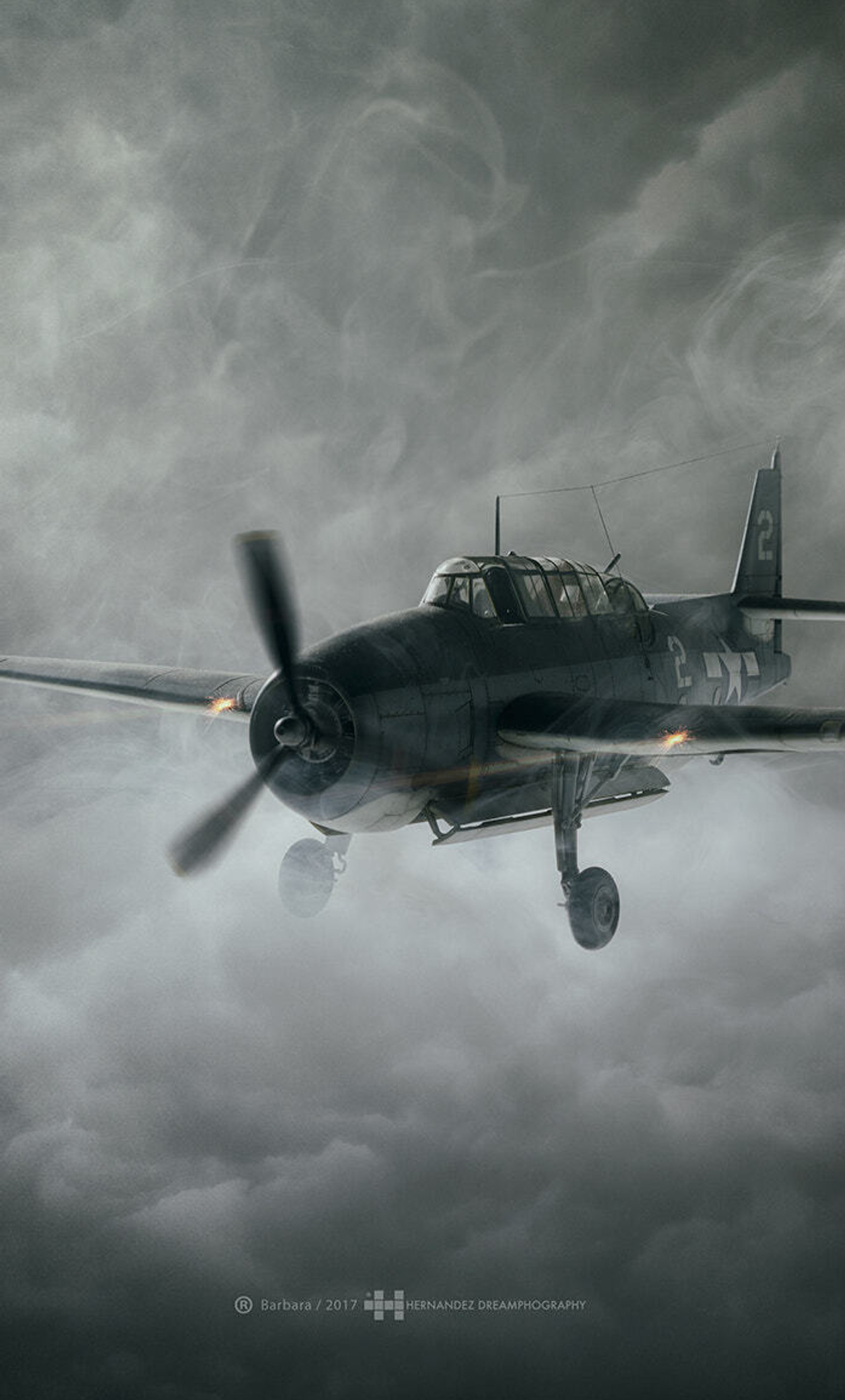 1280x2120 Aircraft Dark Clouds iPhone 6+ ,HD 4k Wallpapers,Images ...