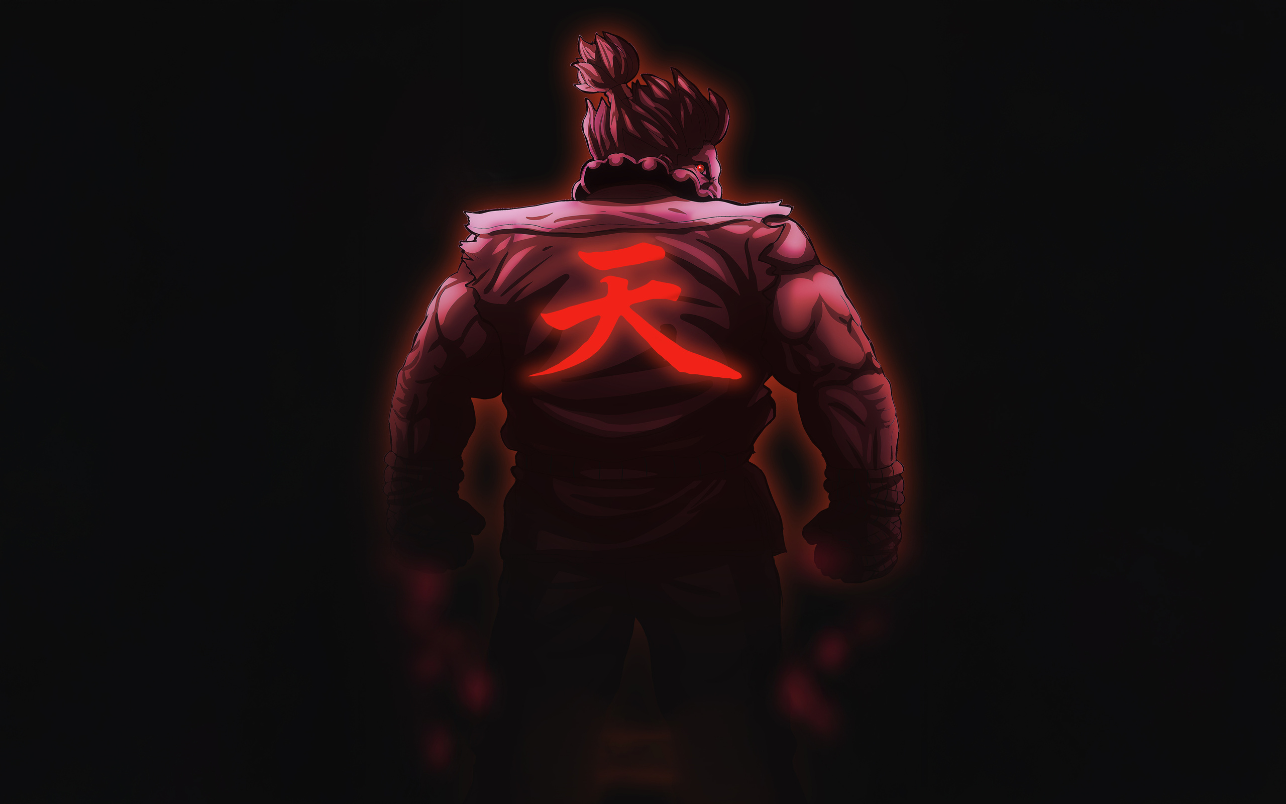 2560x1600 Akuma The Fighter 5k Wallpaper,2560x1600 Resolution HD 4k ...