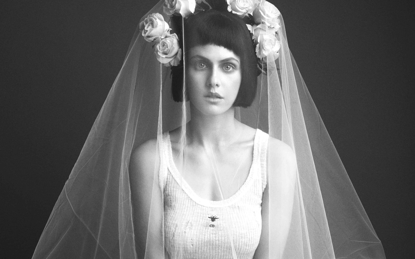 1680x1050 Alexandra Daddario Flaunt 2024 5k Wallpaper,1680x1050 Resolution HD 4k Wallpapers ...