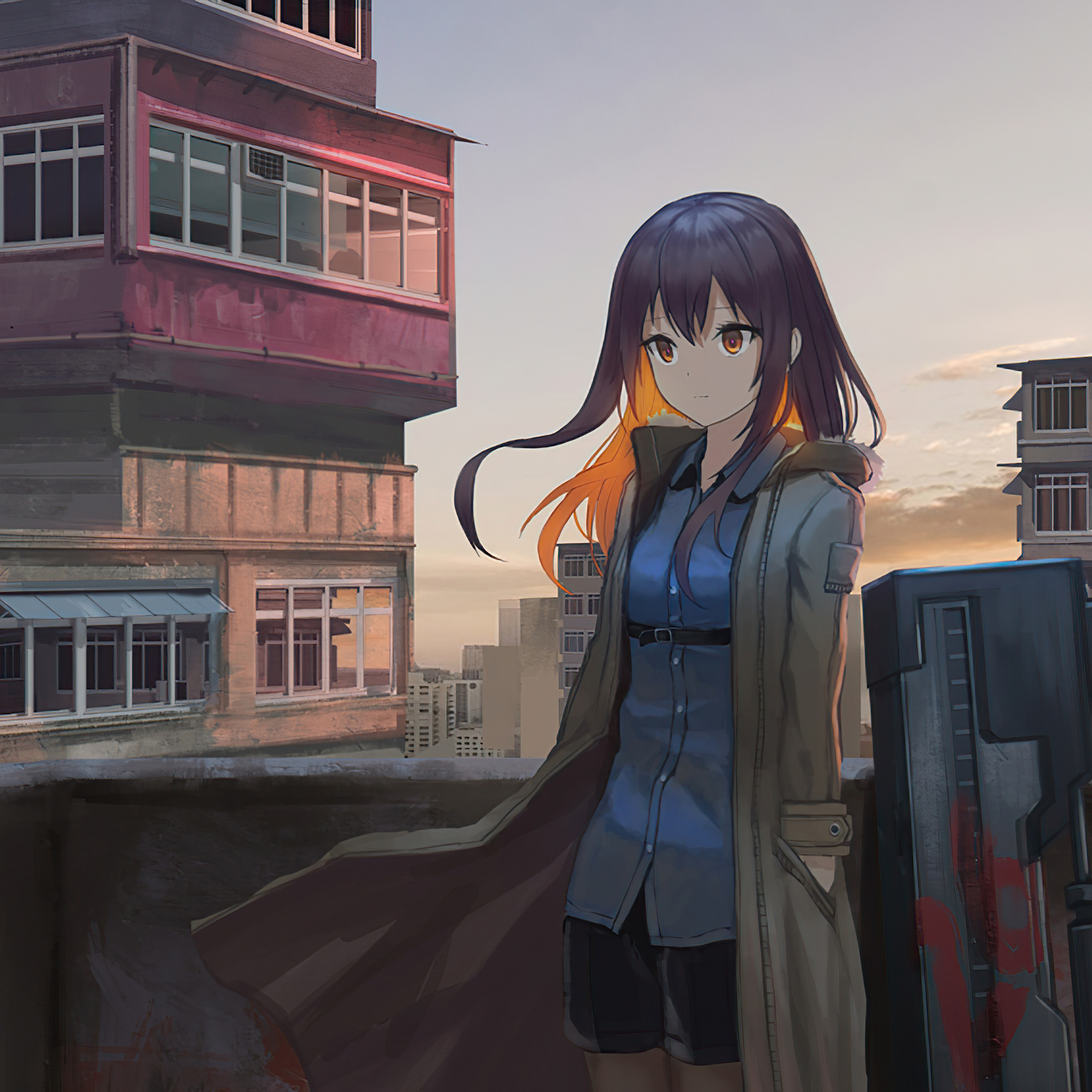 2048x2048 Anime Girl On Rooftop Ipad Air ,HD 4k Wallpapers,Images ...