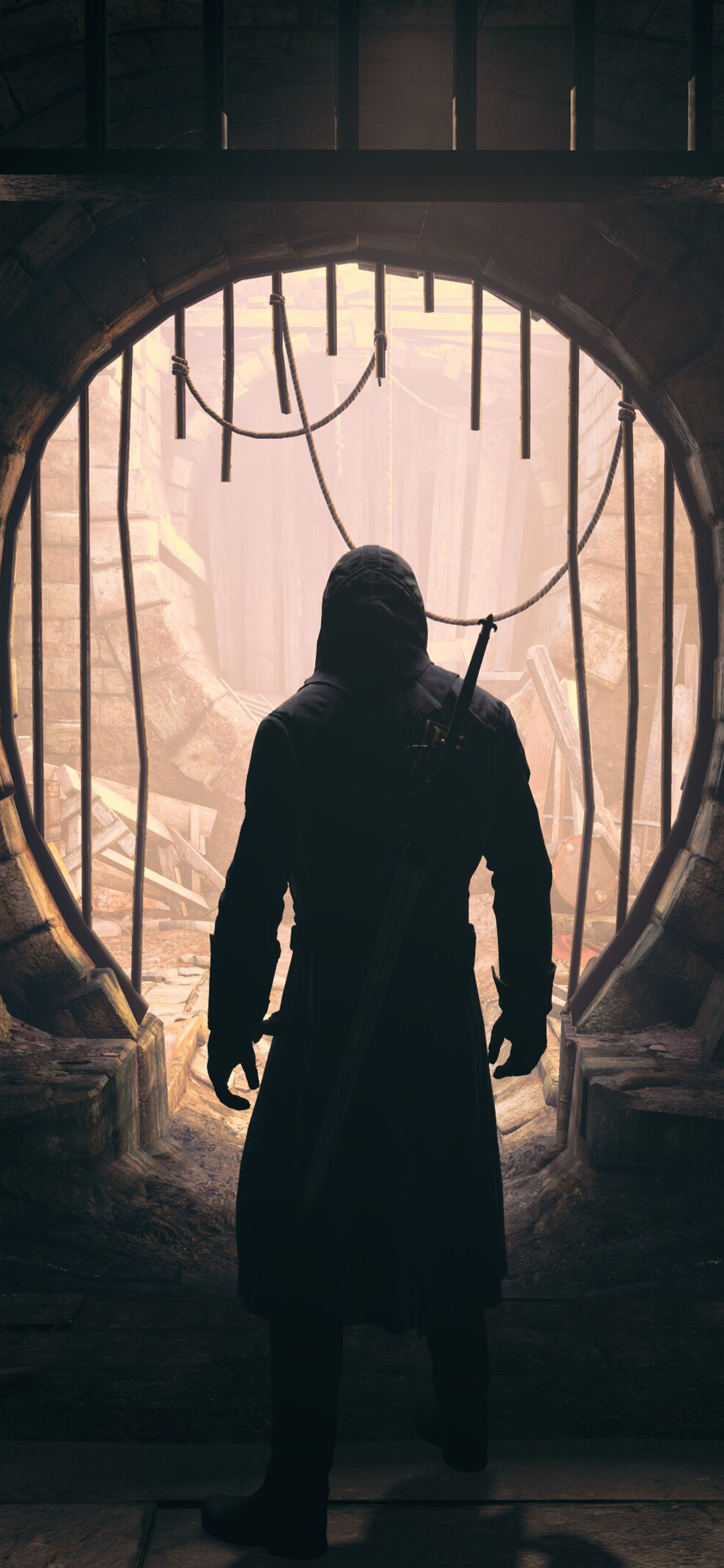 1125x2436 Assassins Creed Unity 4k Iphone XS,Iphone 10,Iphone X ,HD 4k ...