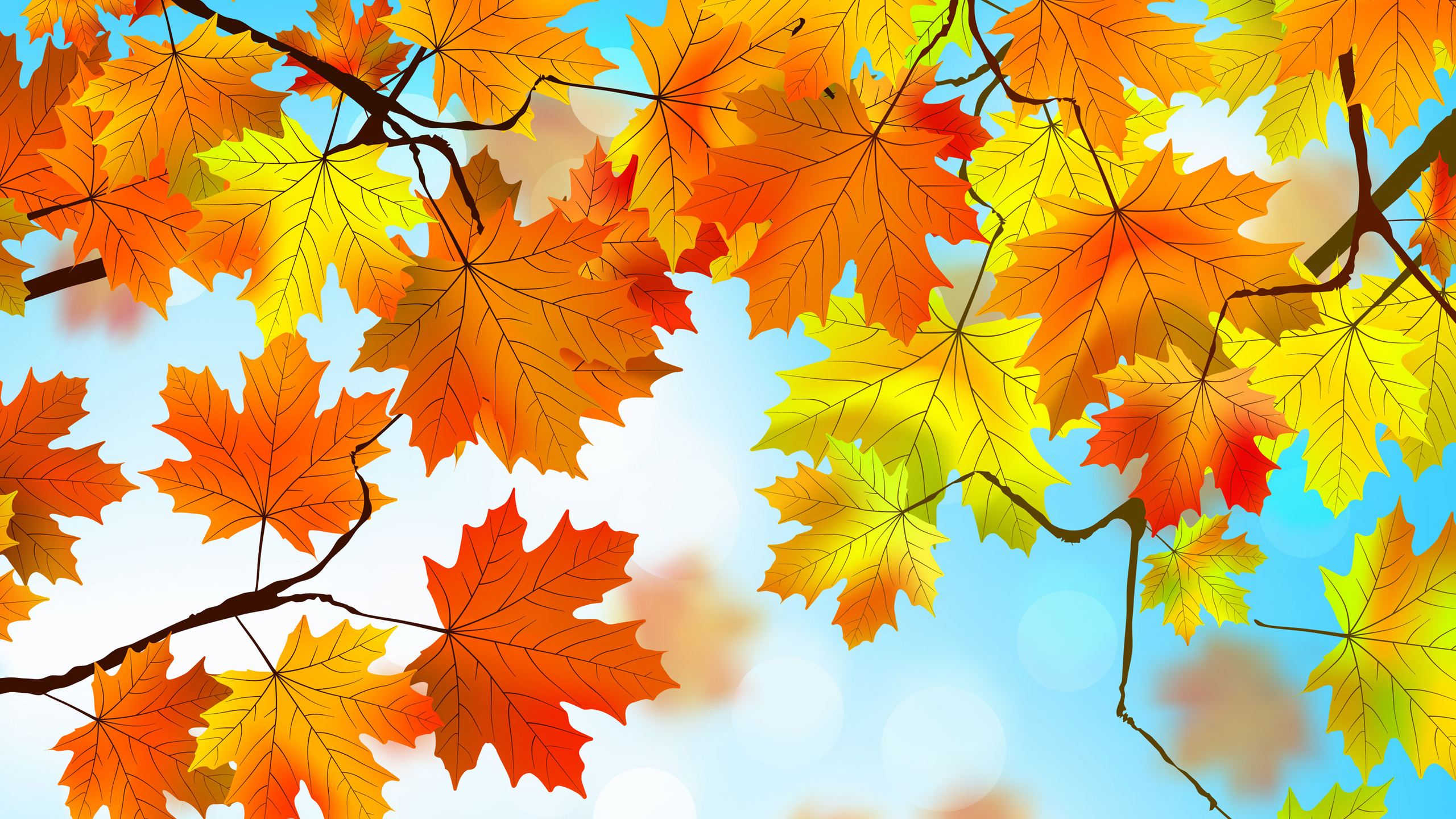 2560x1440 Autumn Leaves HD 1440P Resolution ,HD 4k Wallpapers,Images ...