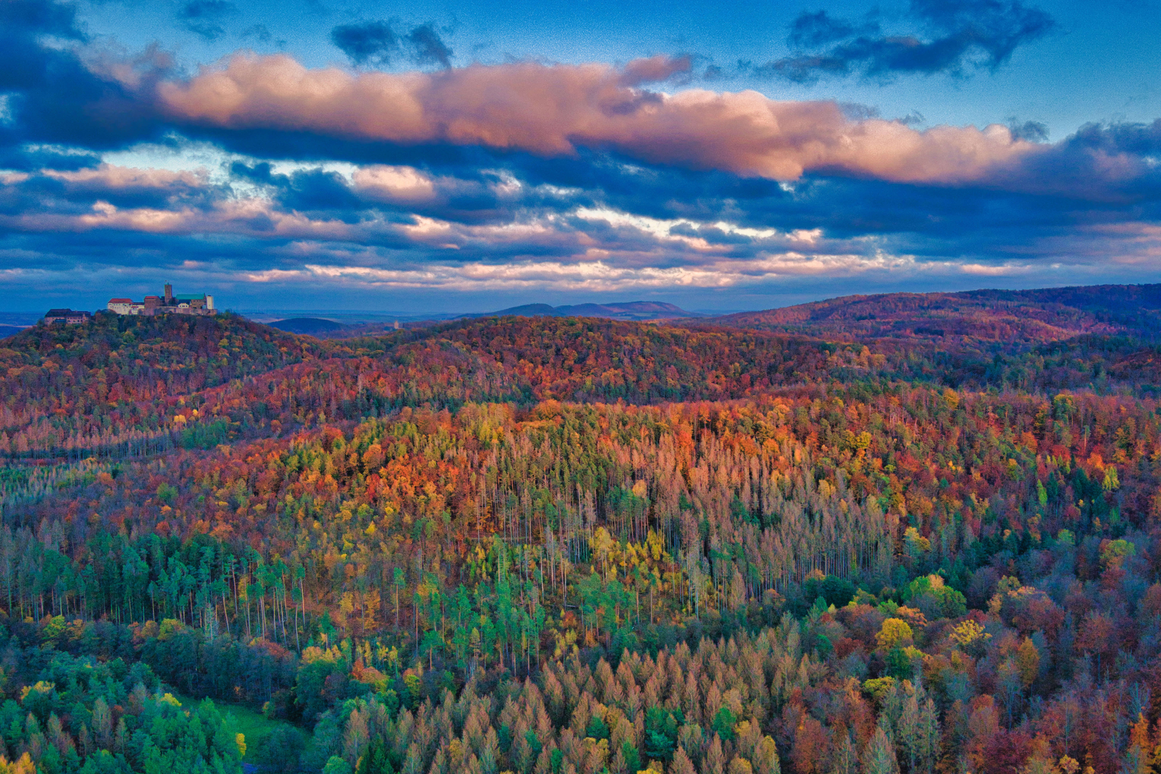 3840x2560 Autumn Leaves In The Thuringian Forest 3840x2560 Resolution 3840x2560-autumn-leaves-in-the-thuringian-forest-3840x2560-resolution