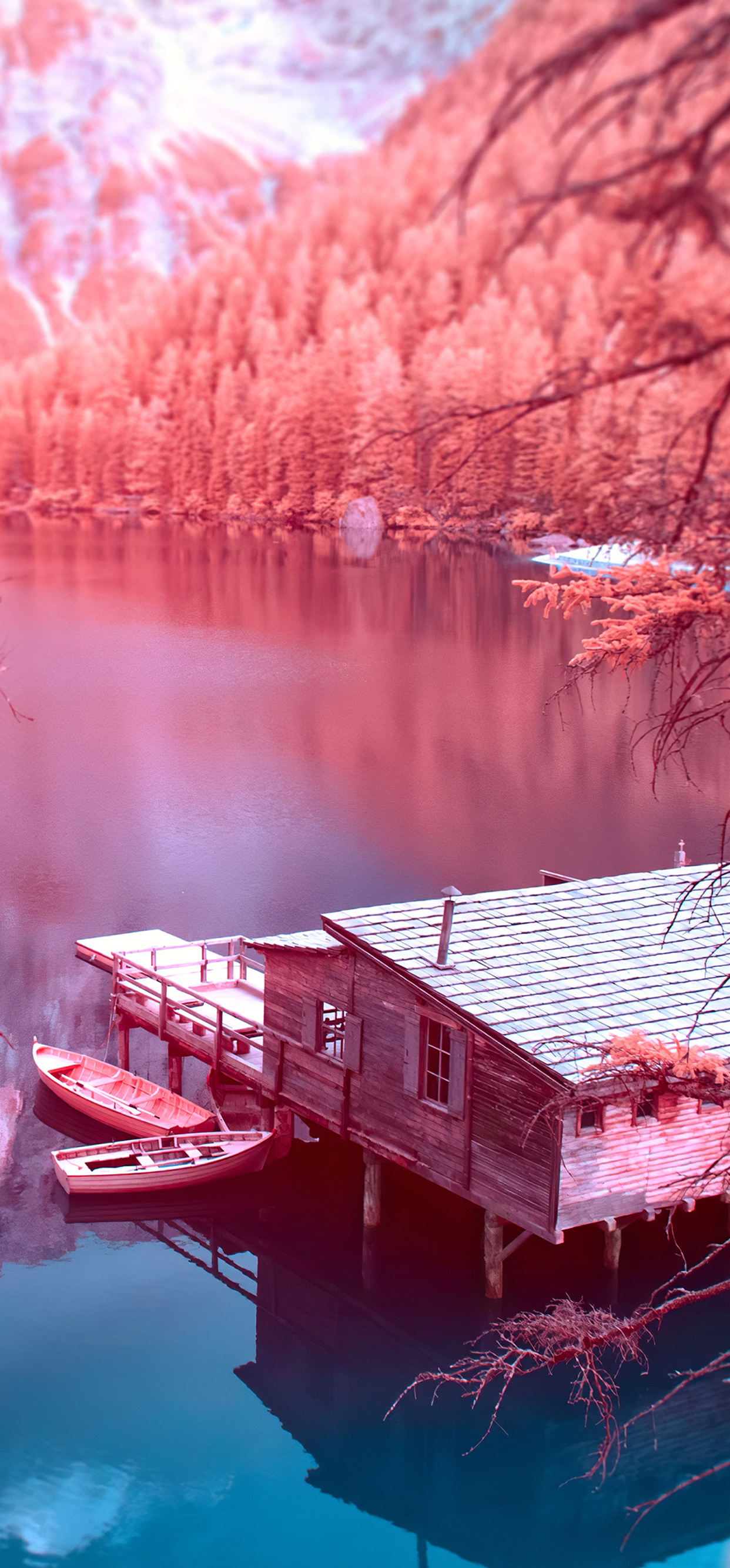 1242x2668 Autumn Nature 4k Iphone XS MAX ,HD 4k Wallpapers,Images,Backgrounds,Photos and Pictures