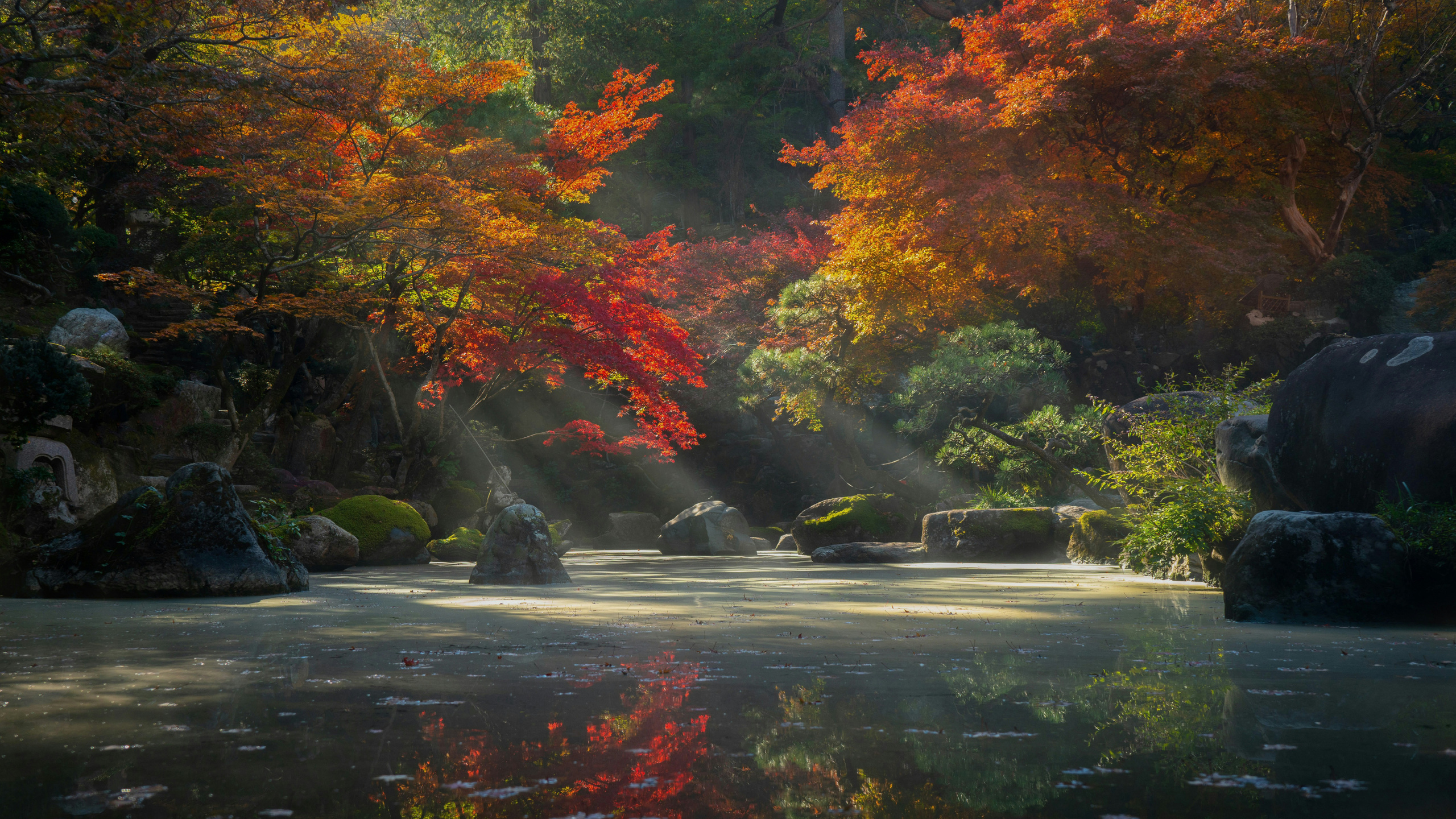 2560x1440 Autumn Radiance In A Japanese Garden 1440P Resolution ,HD 4k ...