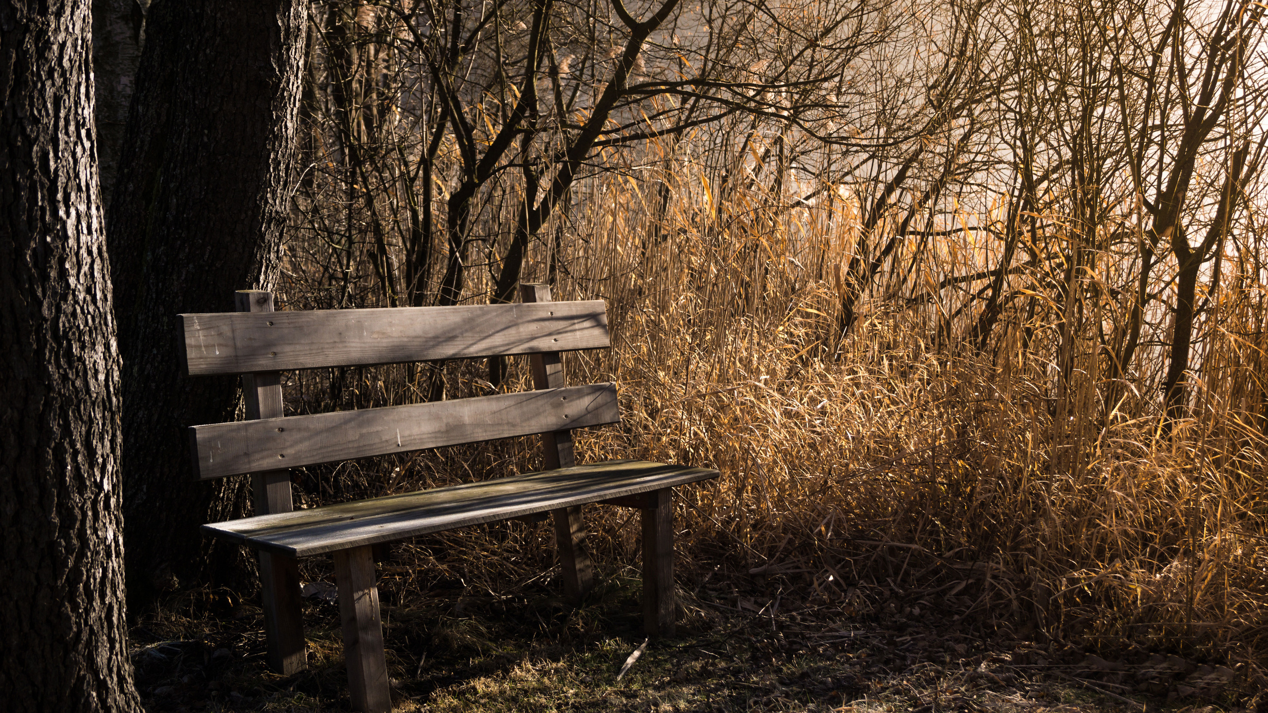 2560x1440 Bench Bank Seat 5k 1440P Resolution ,HD 4k Wallpapers,Images ...