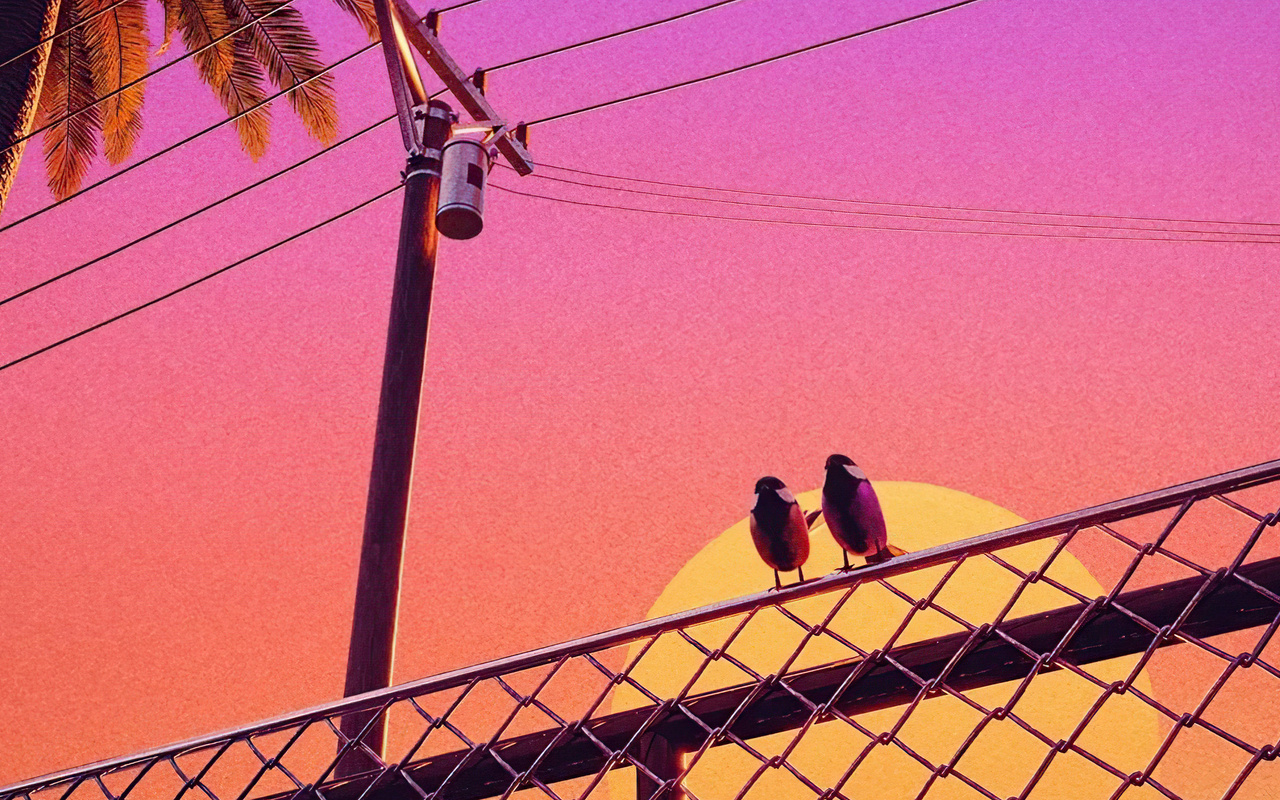 1280x800 Birds Chillwave 720P ,HD 4k Wallpapers,Images,Backgrounds ...