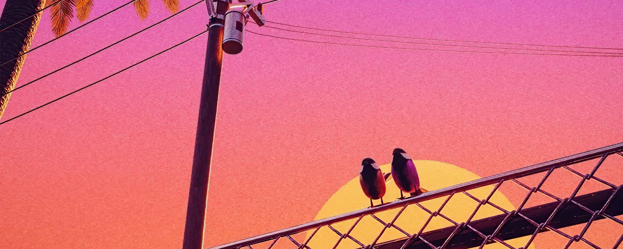 2560x1024 Birds Chillwave Wallpaper,2560x1024 Resolution HD 4k ...