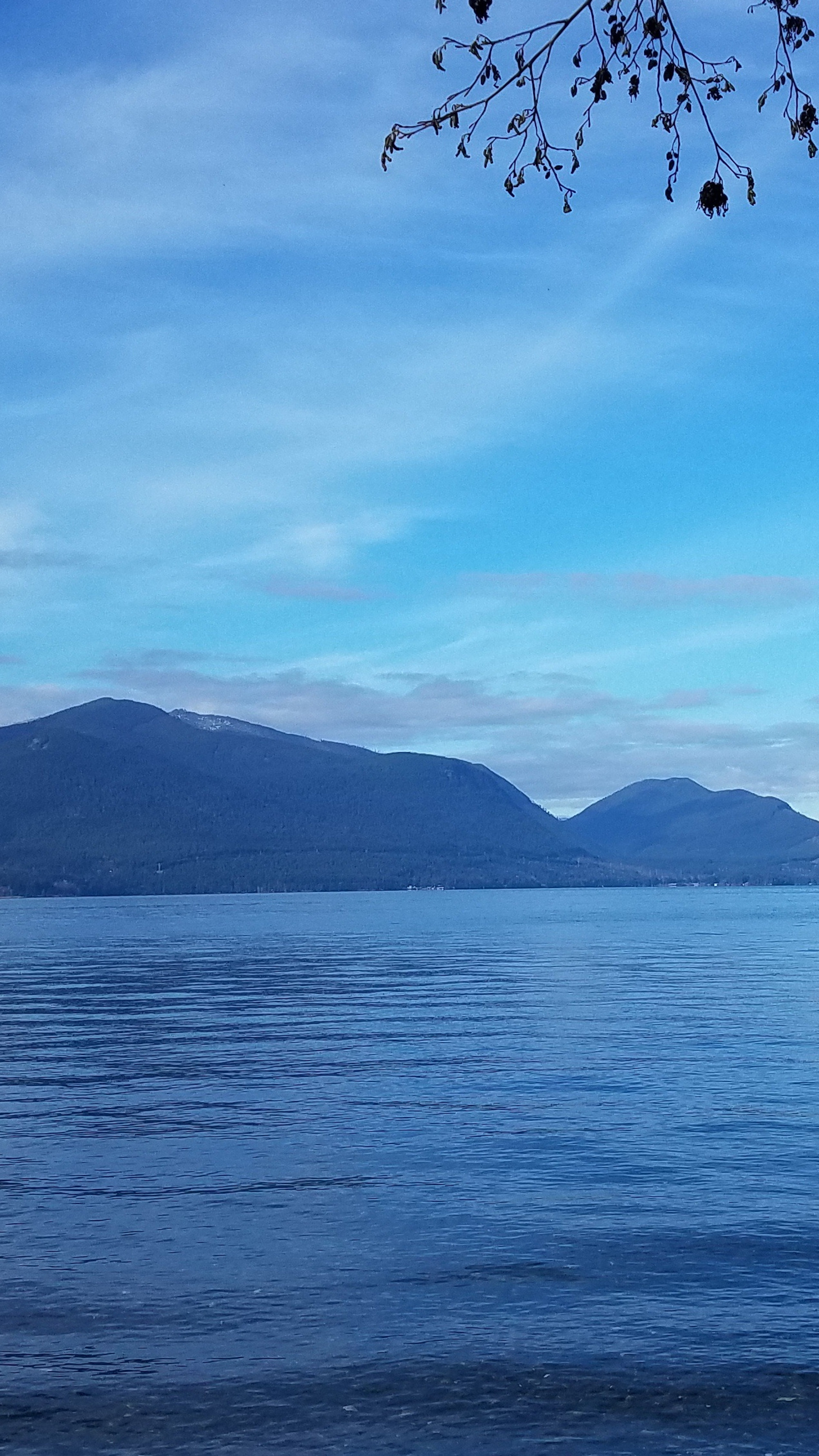 2160x3840 Blue Sky Nature 4k Sony Xperia X,XZ,Z5 Premium HD 4k ...