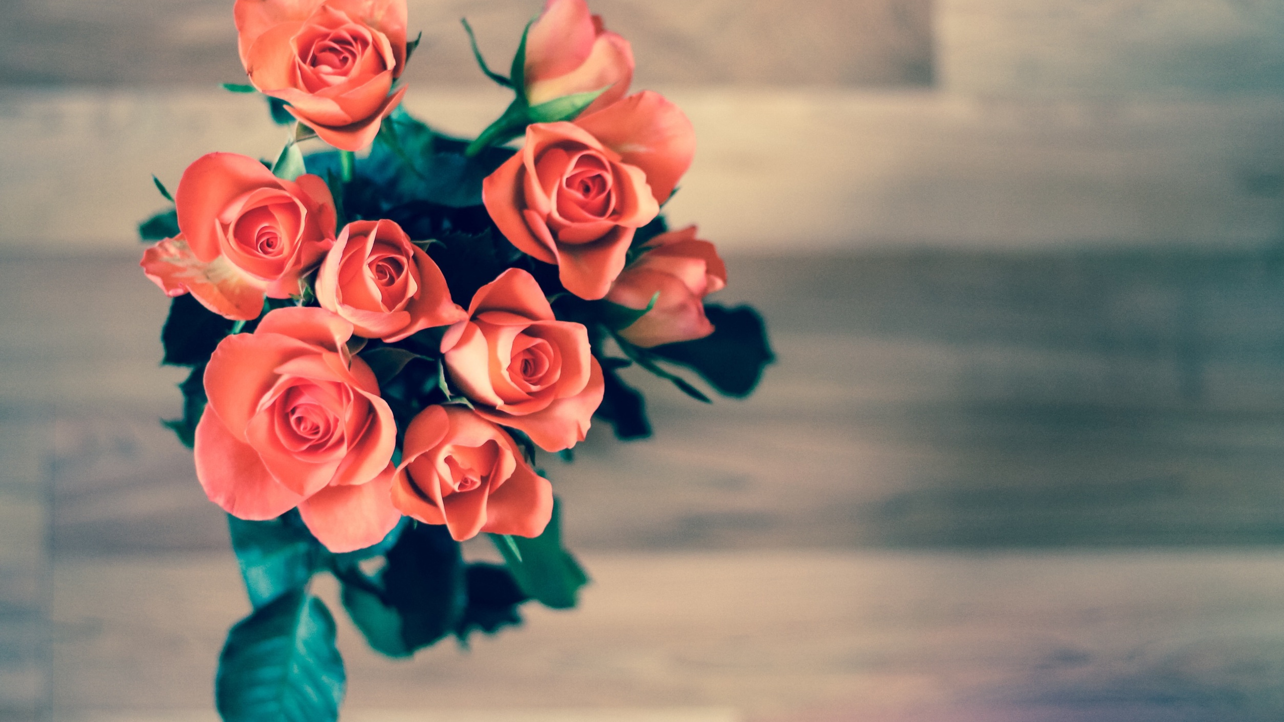 2560x1440 Bouqet Of Roses 1440P Resolution ,HD 4k Wallpapers,Images ...
