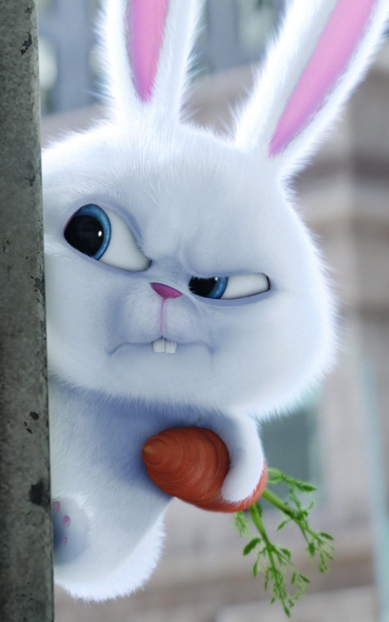 800x1280 Bunny The Secrete Life of Pets Movie Nexus 7,Samsung Galaxy Tab 10,Note Android Tablets ...