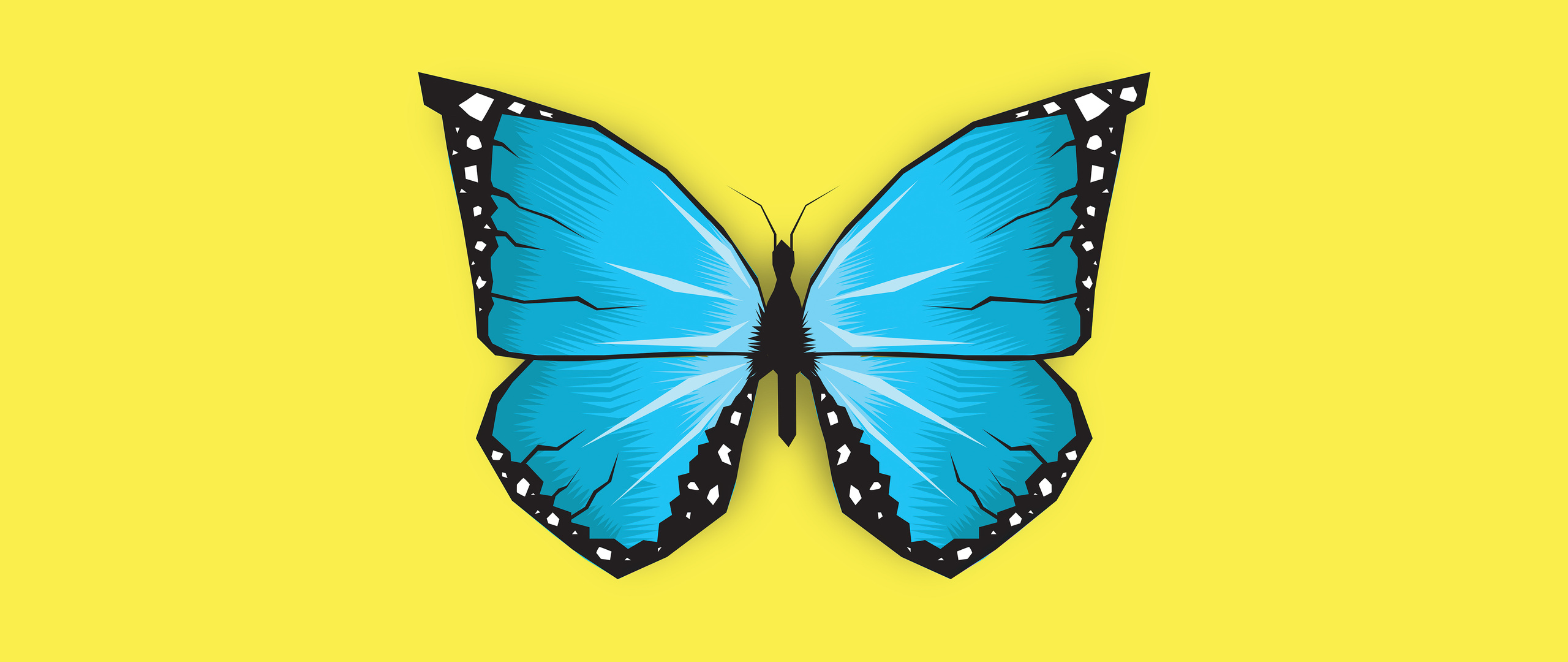 2560x1080 Butterfly Insect Minimal 5k Wallpaper,2560x1080 Resolution HD ...
