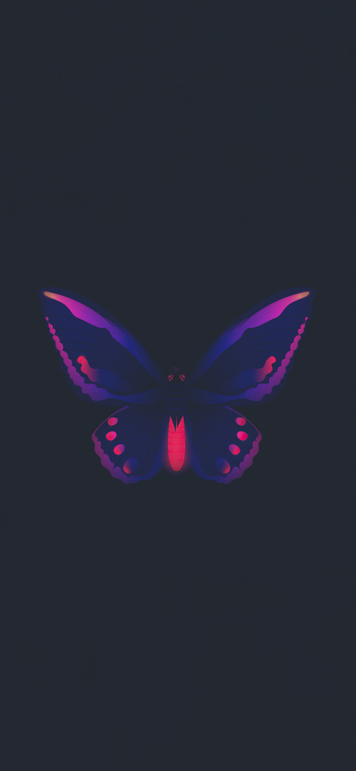 1242x2688 Butterfly Minimal 4k Iphone Xs Max Hd 4k Wallpapers Images
