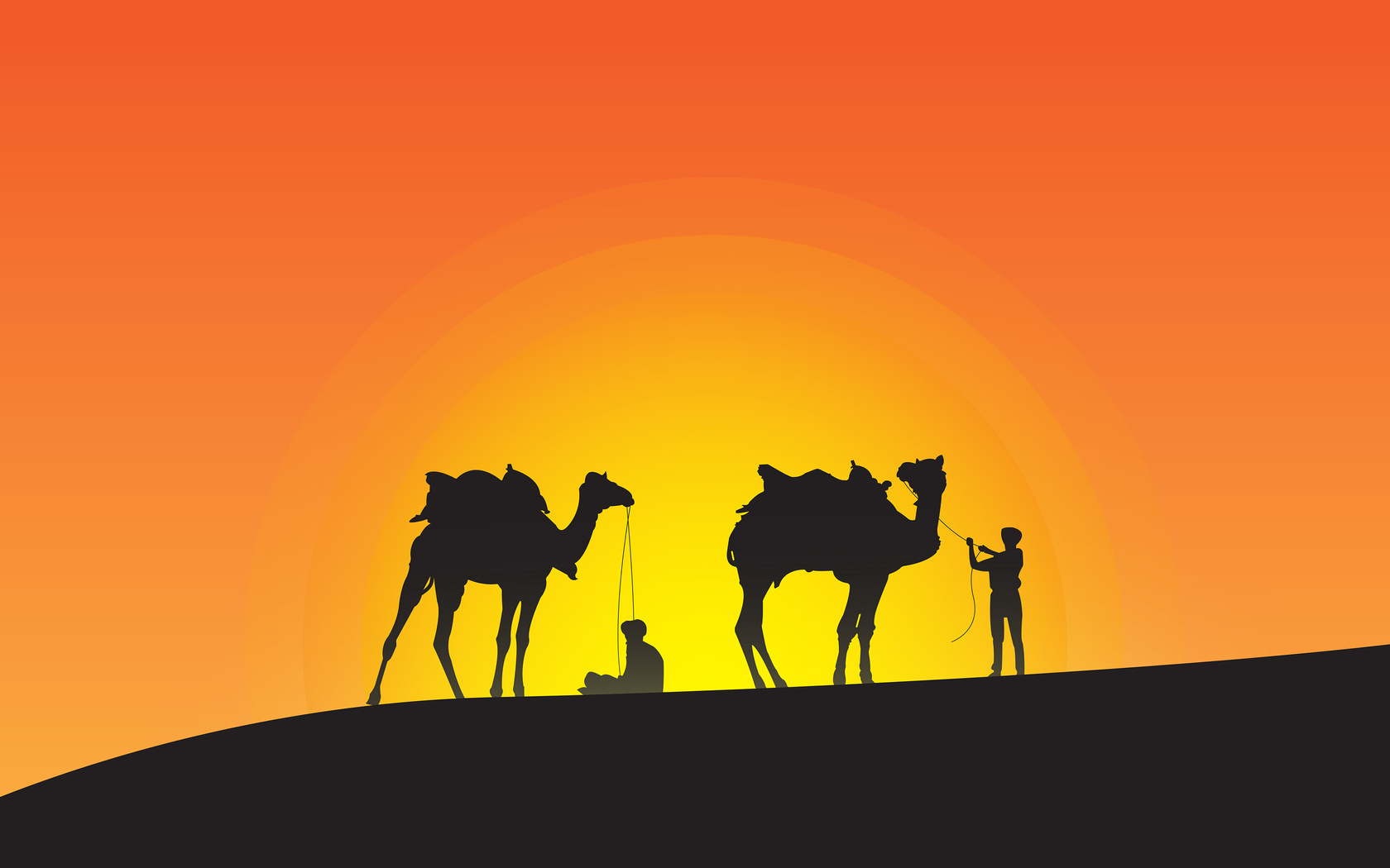 1680x1050 Camel Leaders Silhouette Wallpaper,1680x1050 Resolution HD 4k ...