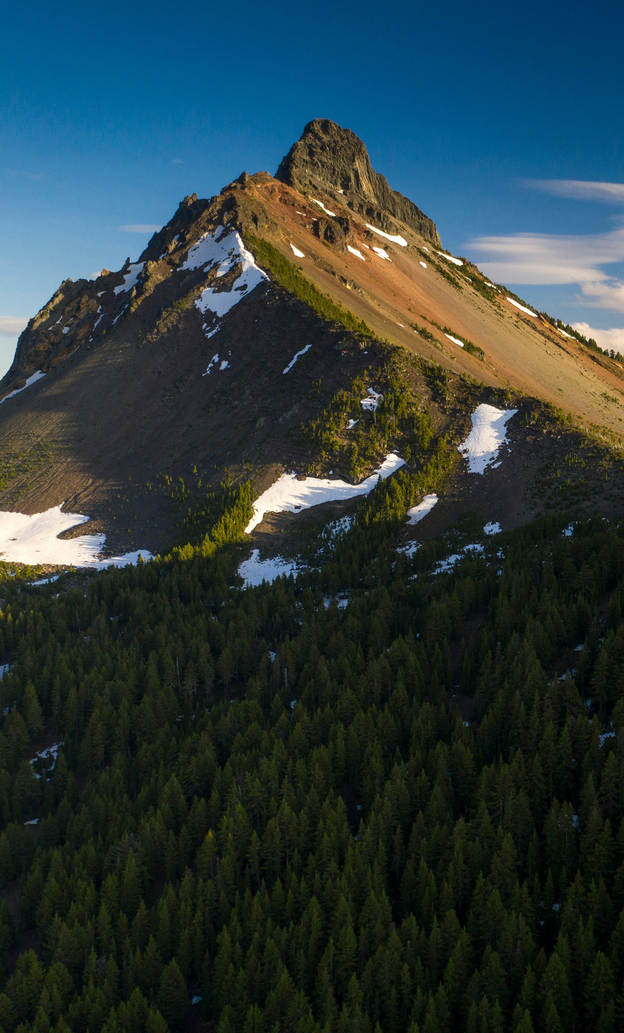 1280x2120 Cascade Trees Covering Mountains iPhone 6+ ,HD 4k Wallpapers ...