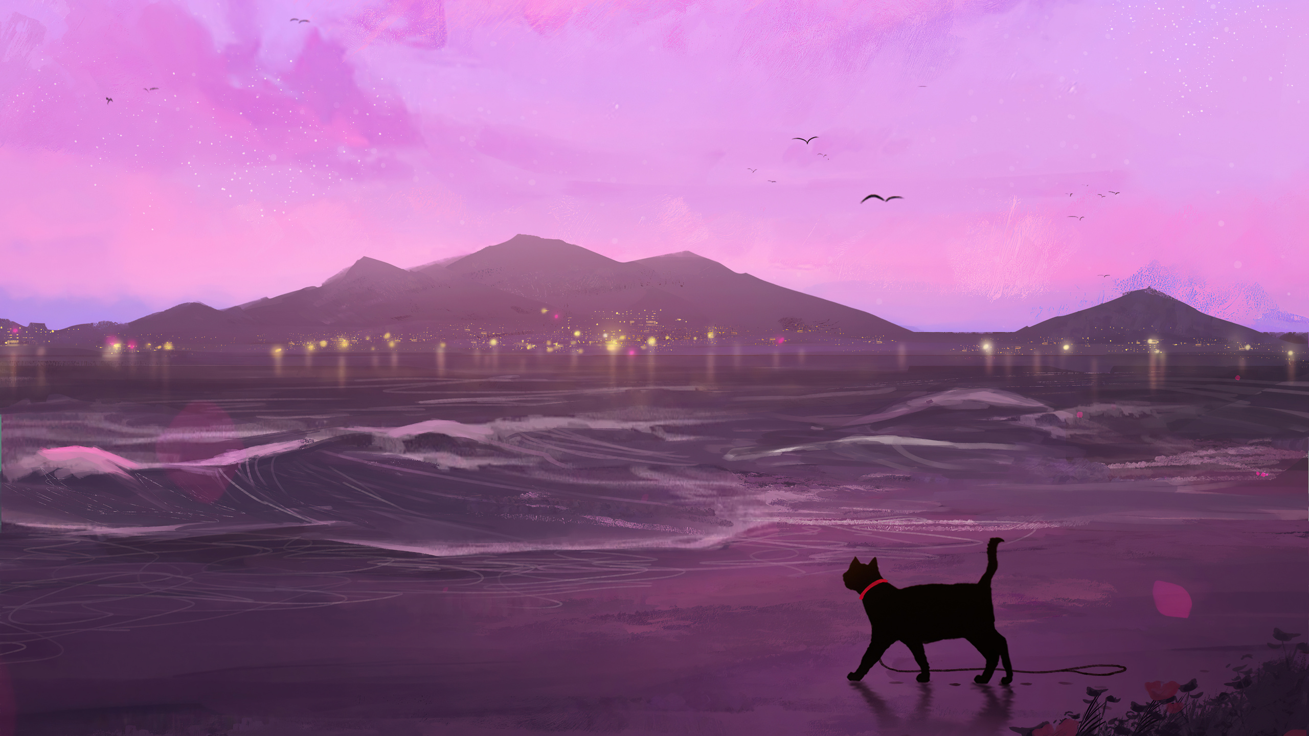 2560x1440 Cat Beach Silhouette 1440P Resolution ,HD 4k Wallpapers ...