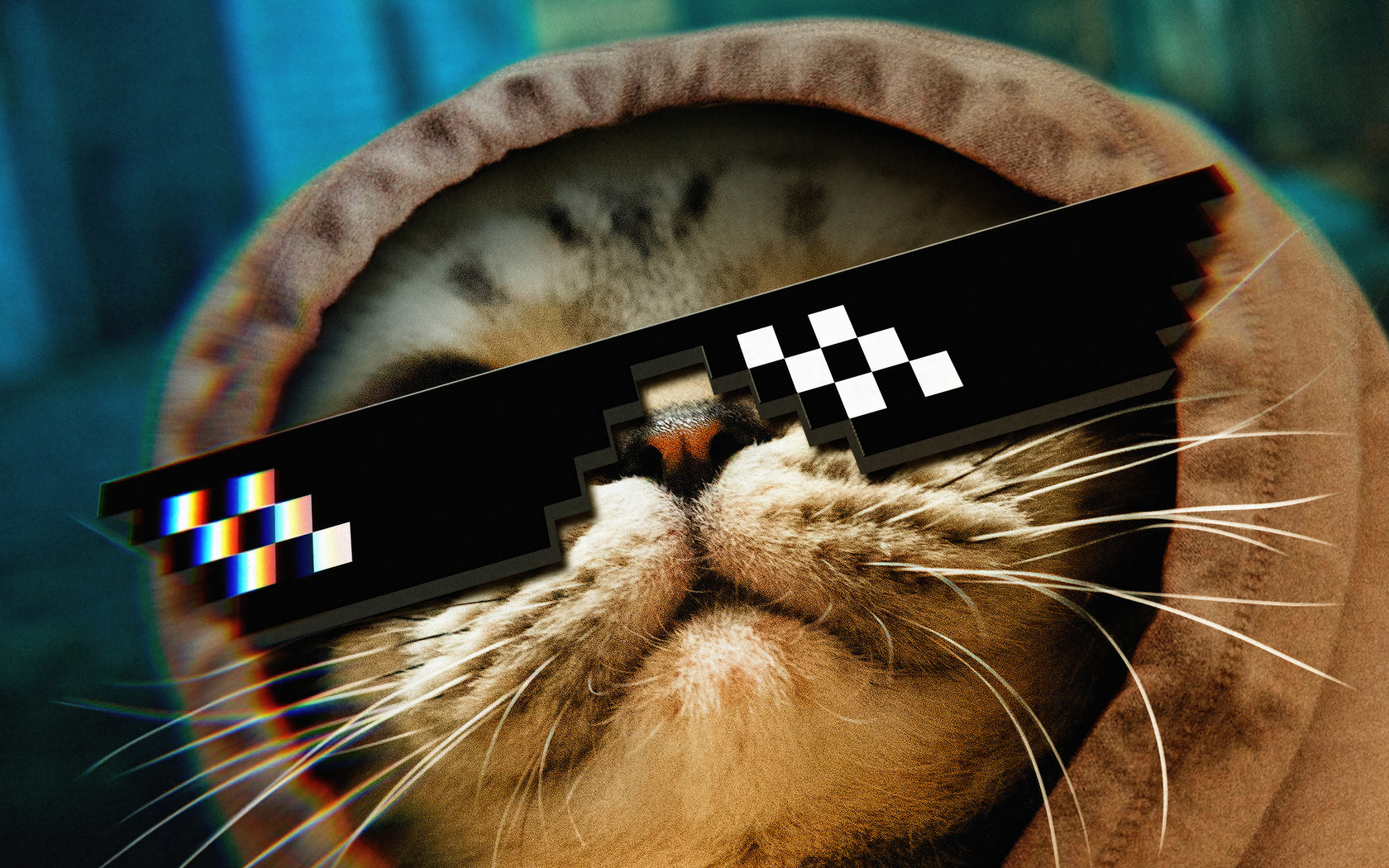 1680x1050 Cat Thug Life Wallpaper,1680x1050 Resolution HD 4k Wallpapers ...