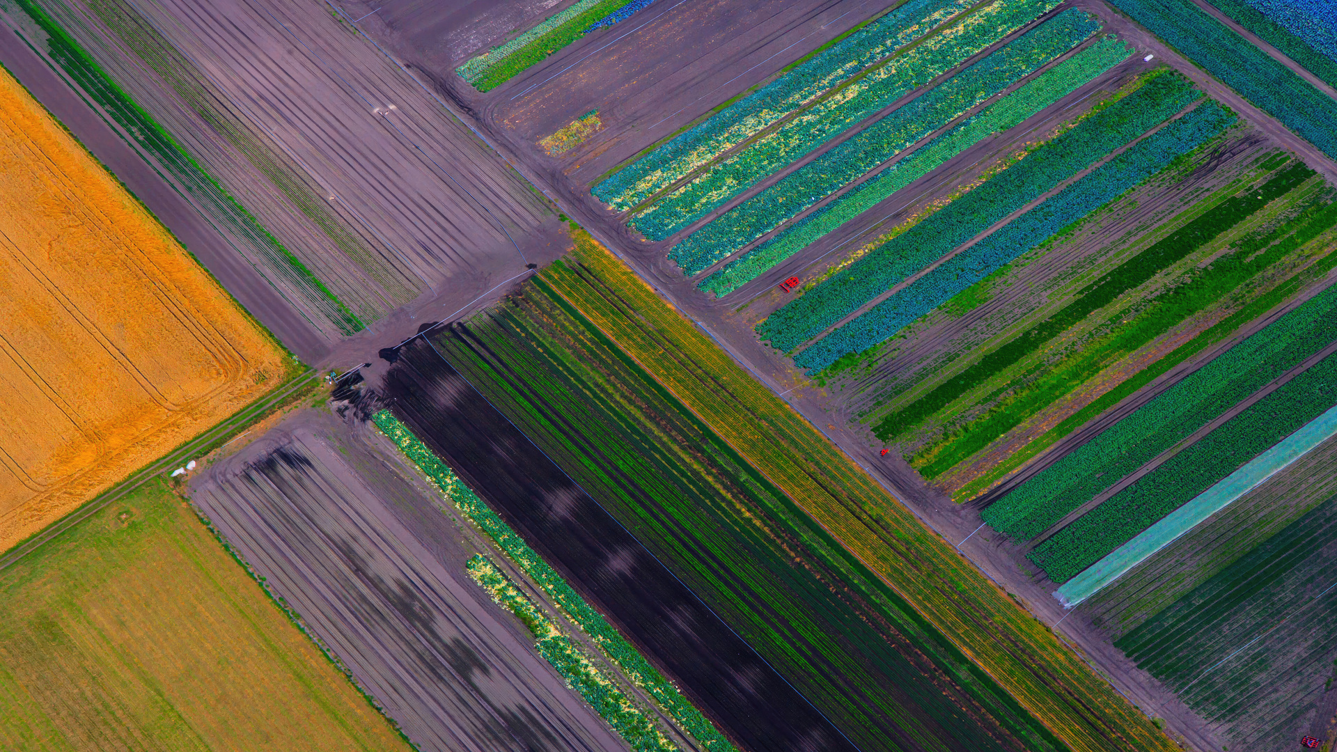 1920x1080 Colorful Fields Aerial View Laptop Full HD 1080P ,HD 4k ...