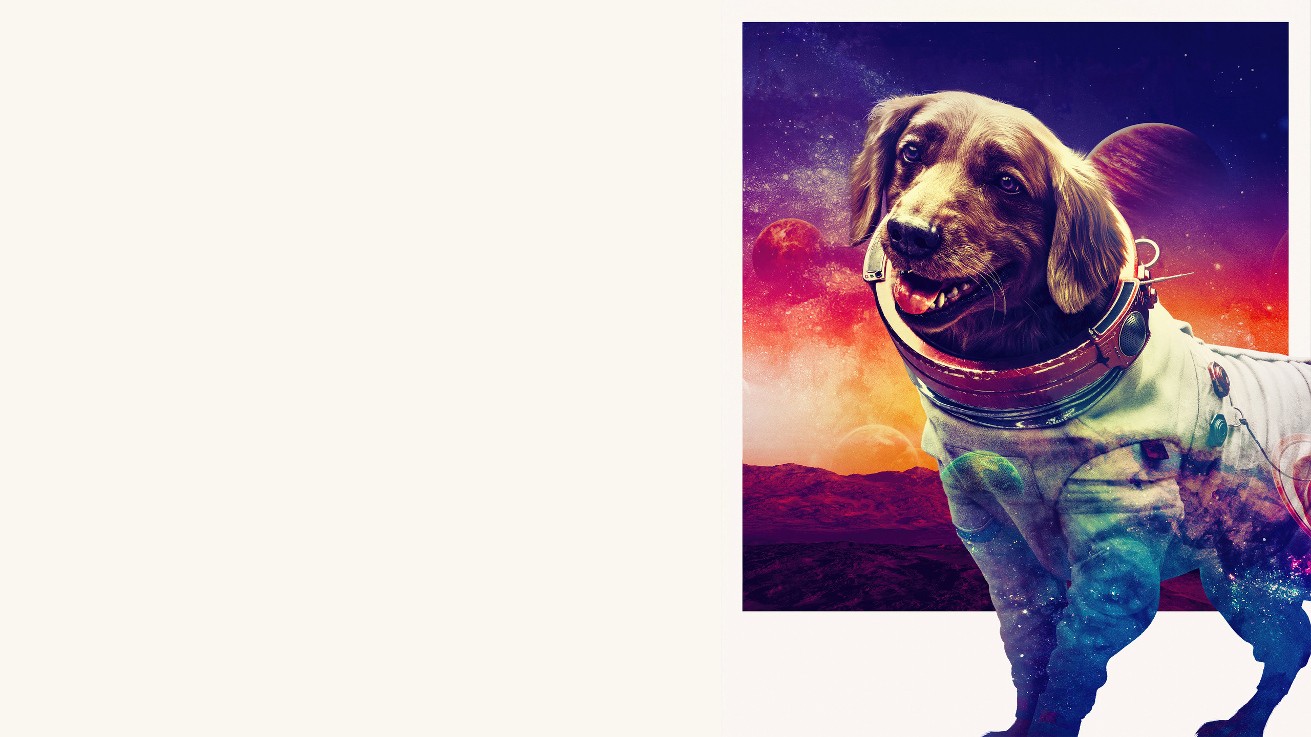 2560x1440 Cosmo In Guardians Of The Galaxy Vol 3 1440P Resolution ,HD ...