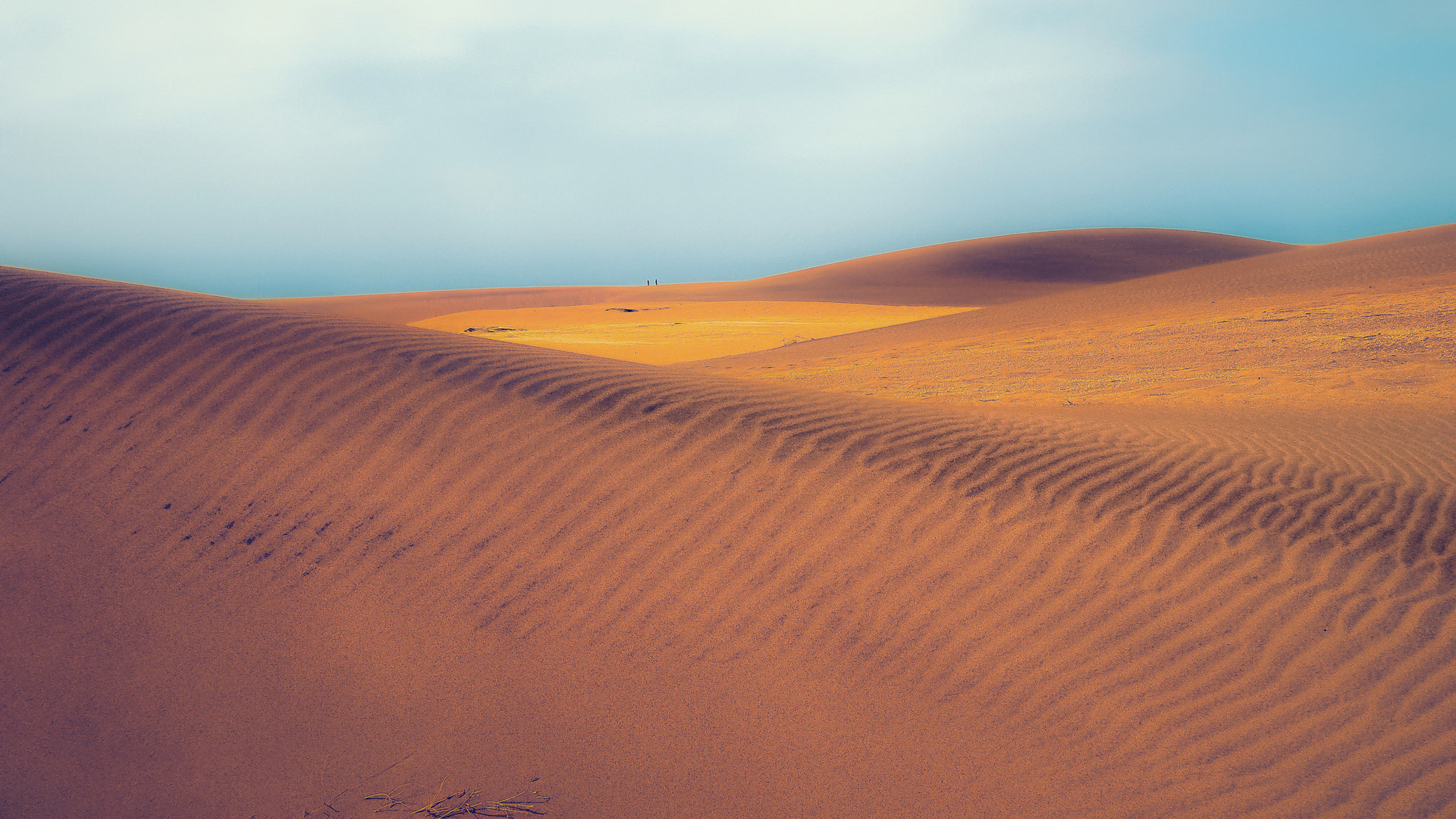 2560x1440 Desert Clear Sky 1440P Resolution ,HD 4k Wallpapers,Images ...