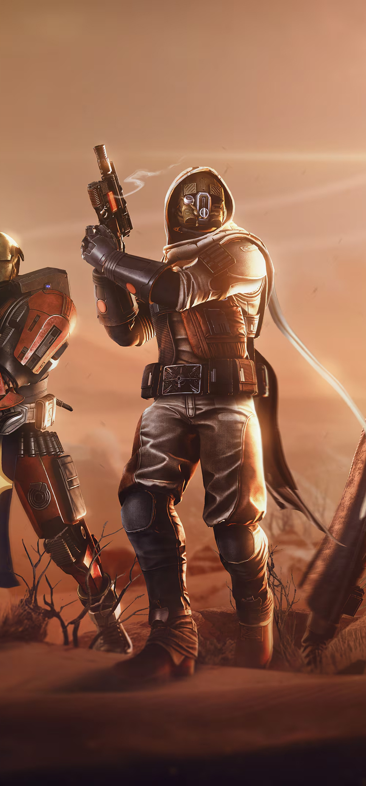 1242x2668 Destiny 2 Traitor Iphone XS MAX ,HD 4k Wallpapers,Images ...