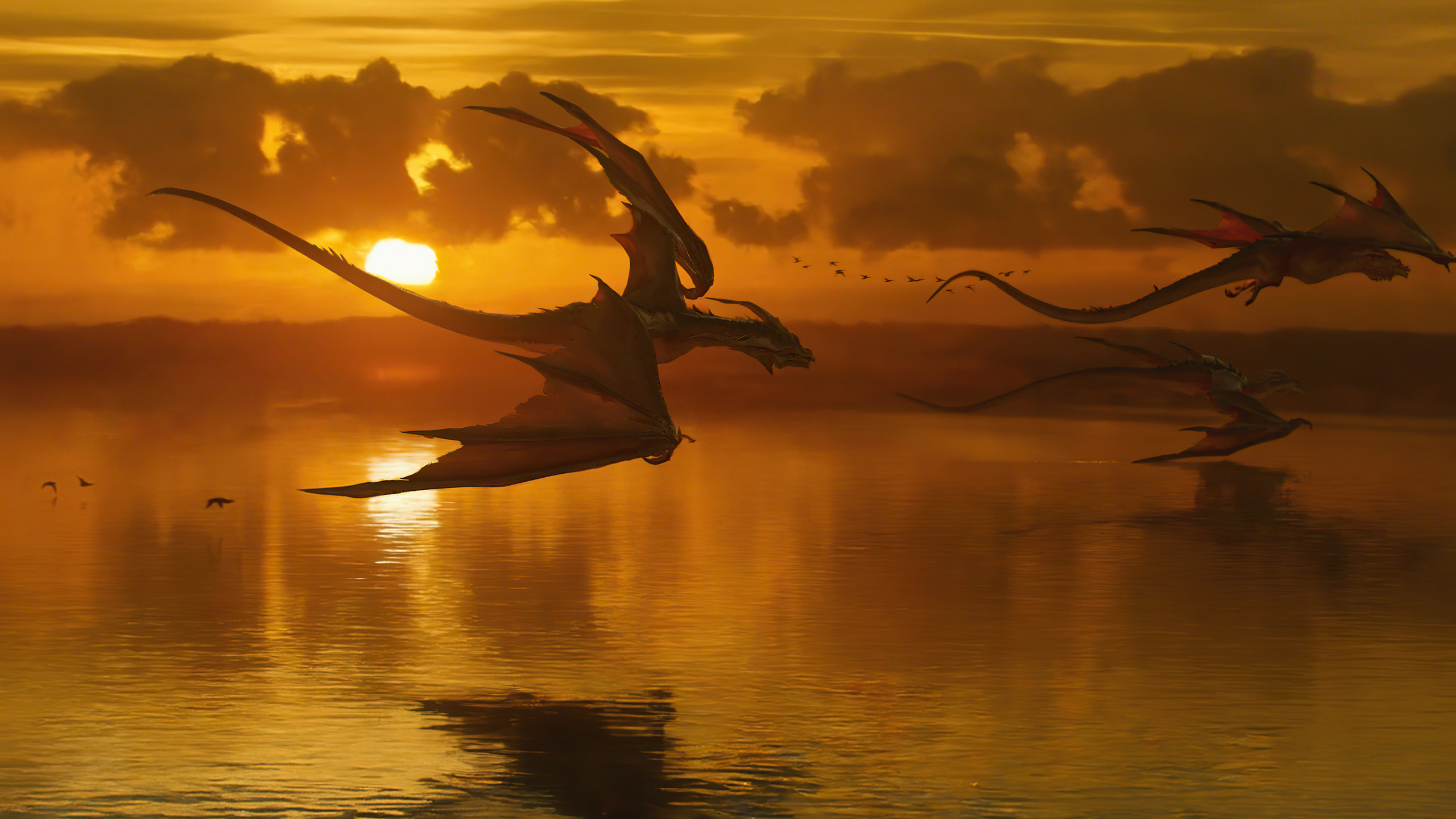 2560x1440 Dragon Origins 1440P Resolution ,HD 4k Wallpapers,Images,Backgrounds,Photos and Pictures