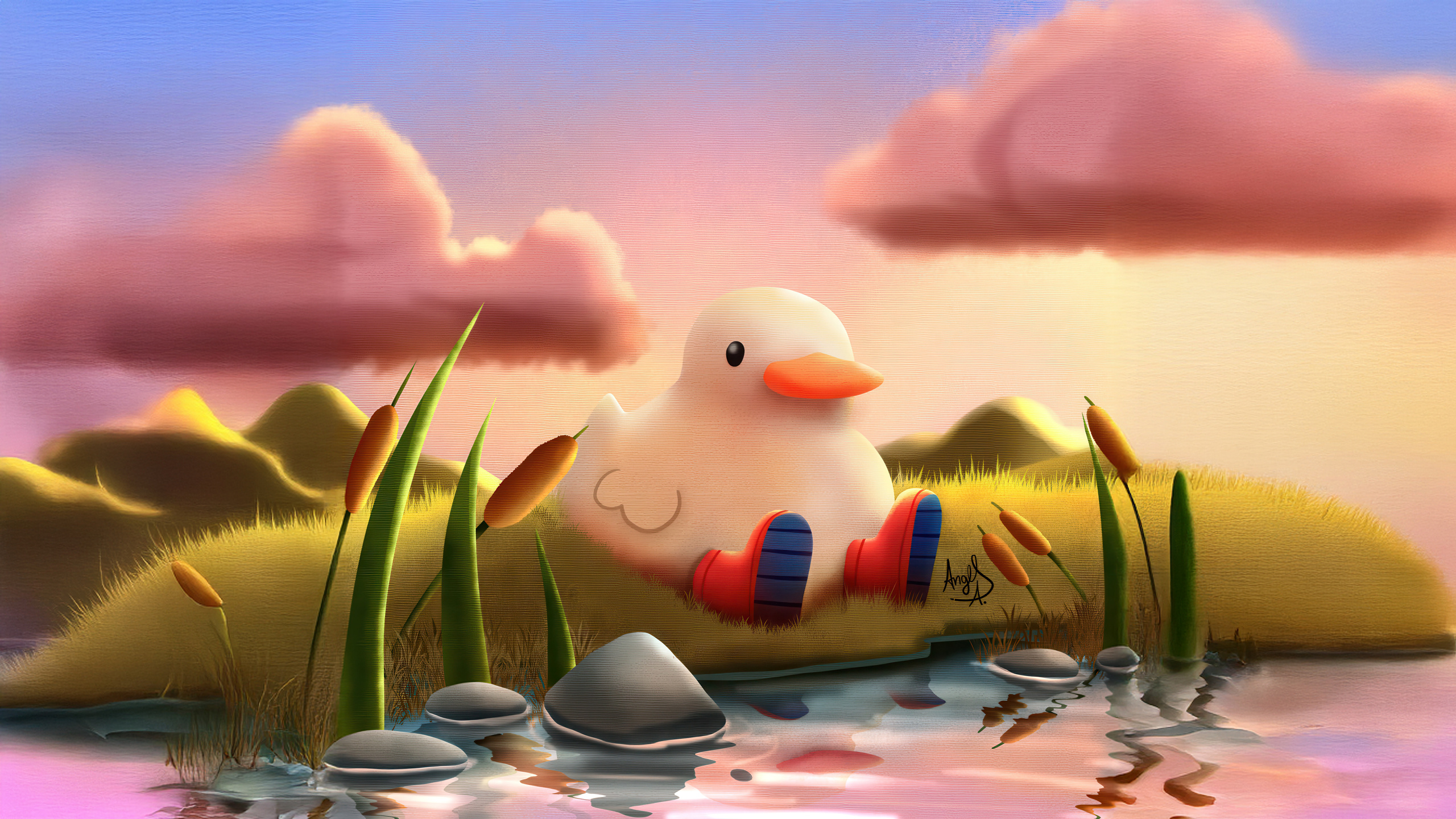 2560x1440 Duck In Boots T 1440P Resolution ,HD 4k Wallpapers,Images ...