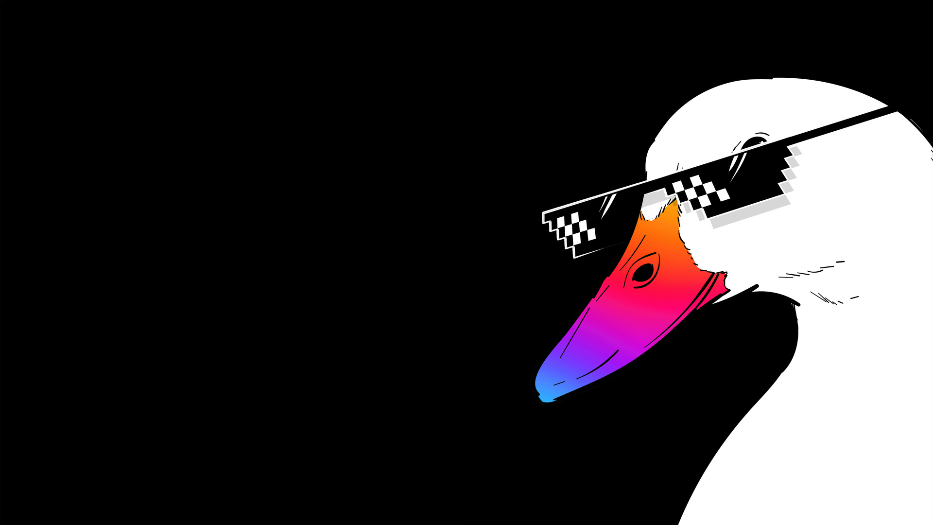 Duck Desktop Wallpaper