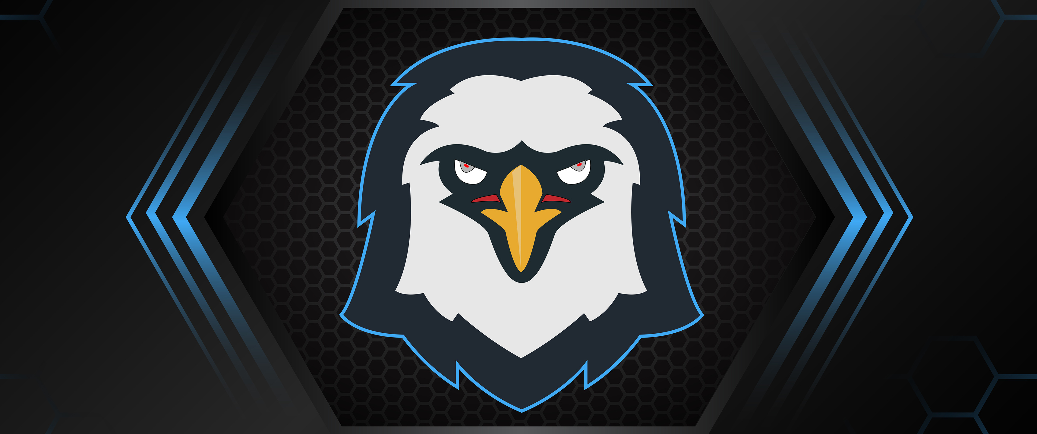 3440x1440 Eagle Minimalism Logo 4k UltraWide Quad HD 1440P ,HD 4k ...