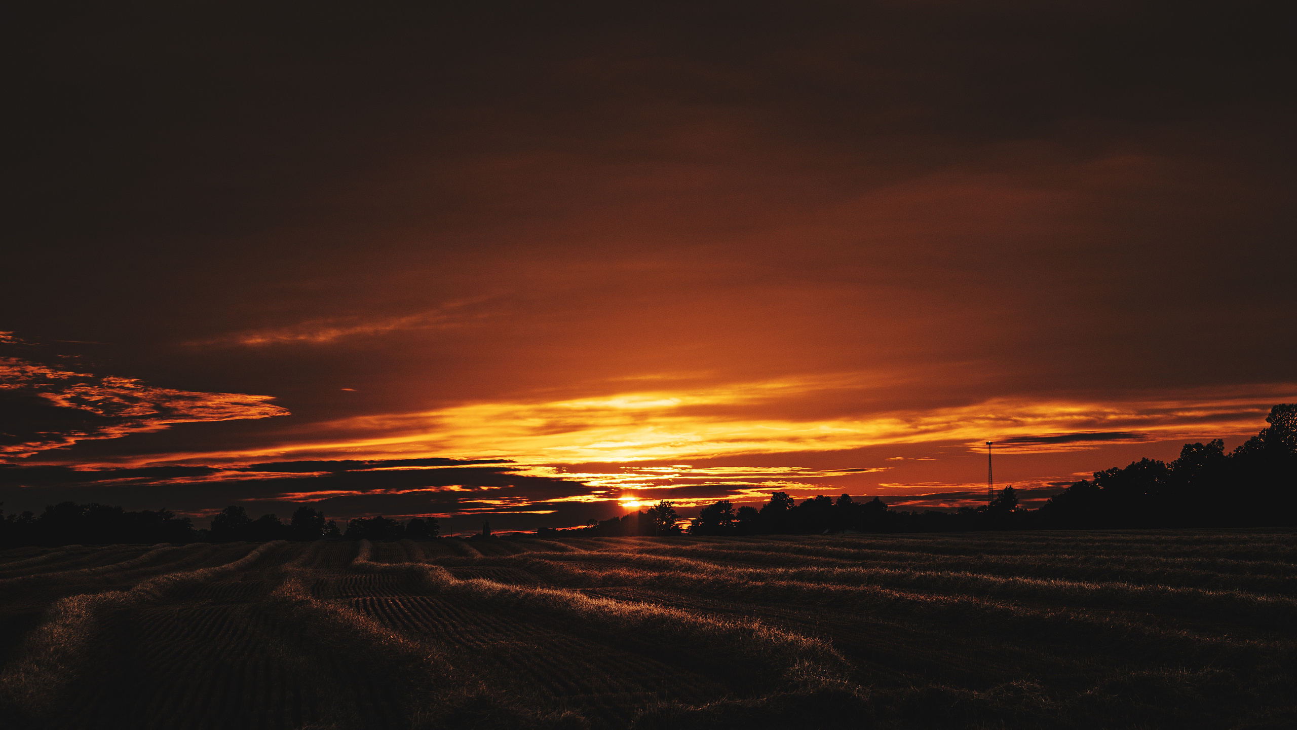 2560x1440 Evening Sunset 5k 1440P Resolution ,HD 4k Wallpapers,Images ...