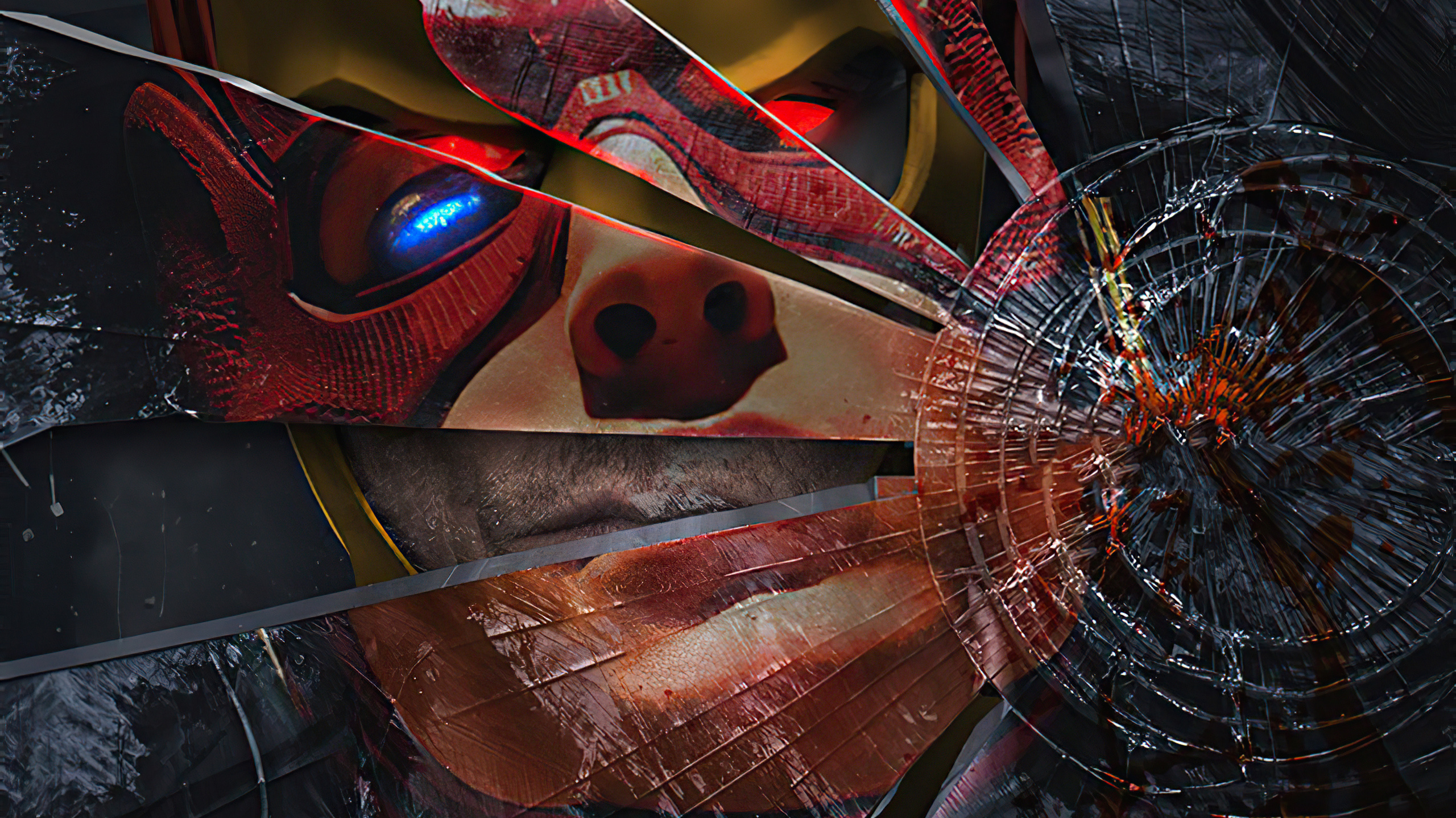 2560x1440 Flashpoint 2021 1440P Resolution ,HD 4k Wallpapers,Images ...