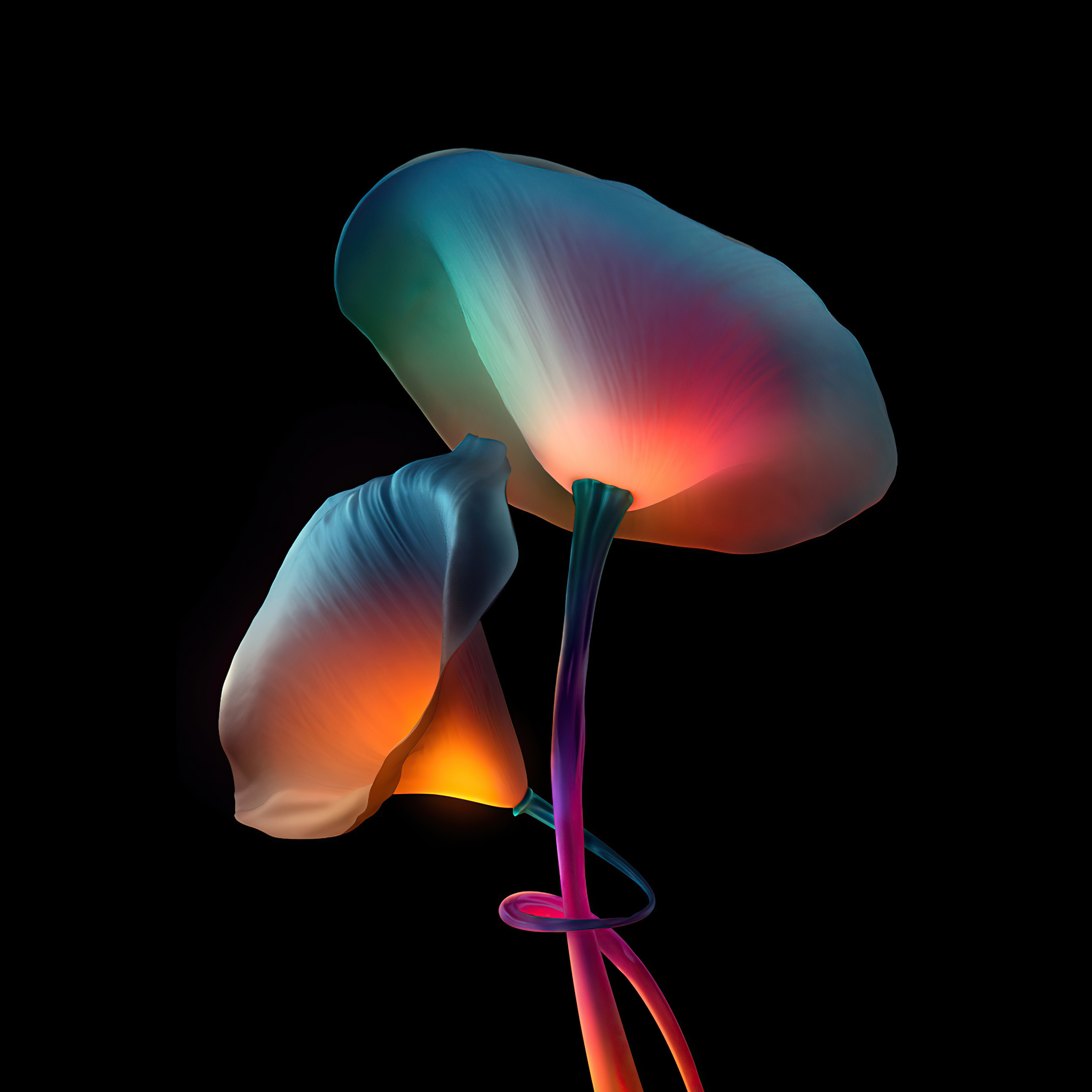 2932x2932 Flowers Oled Ipad Pro Retina Display ,HD 4k Wallpapers,Images ...