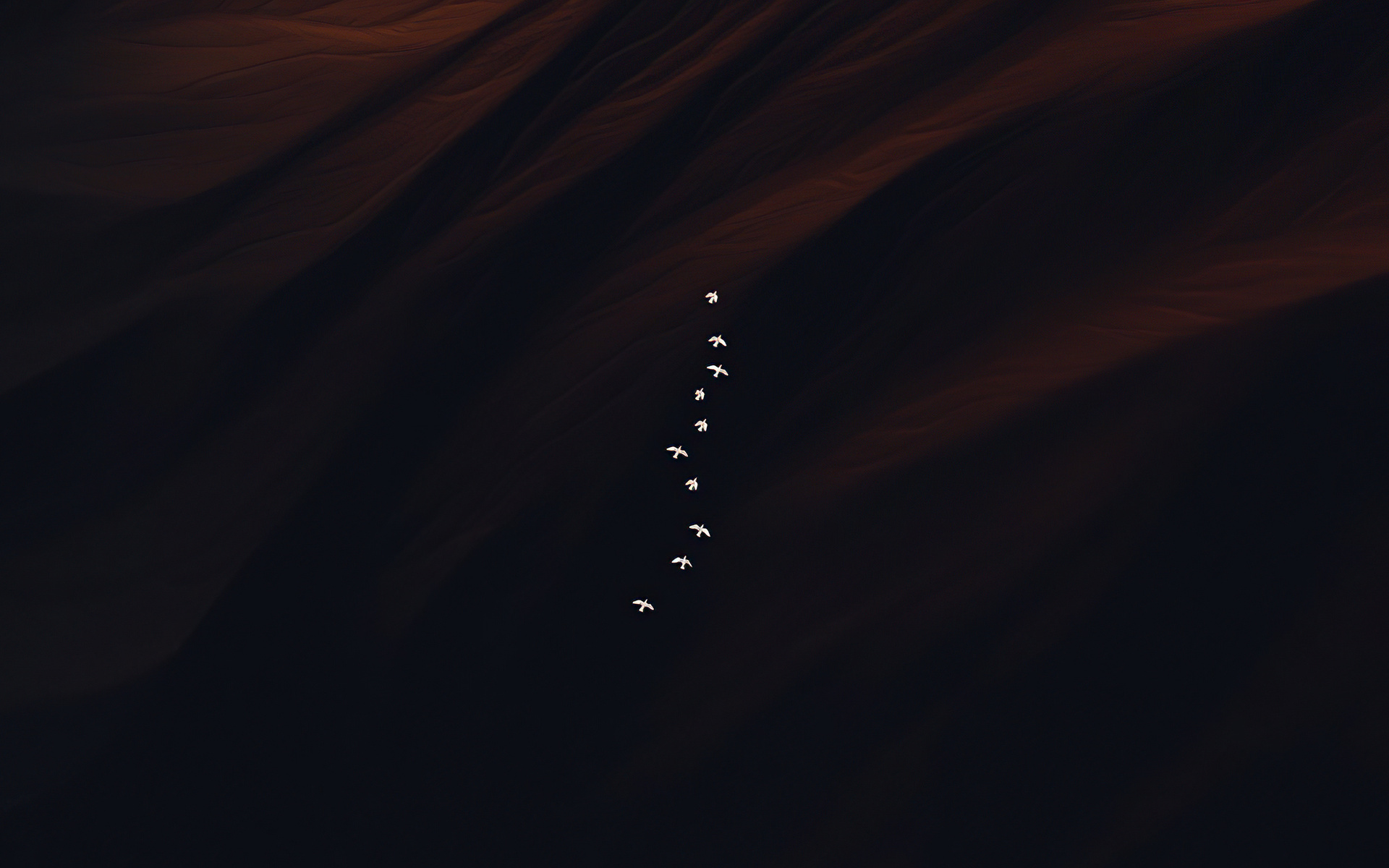 1920x1200 Flying Birds Minimal 4k 1080P Resolution ,HD 4k Wallpapers ...