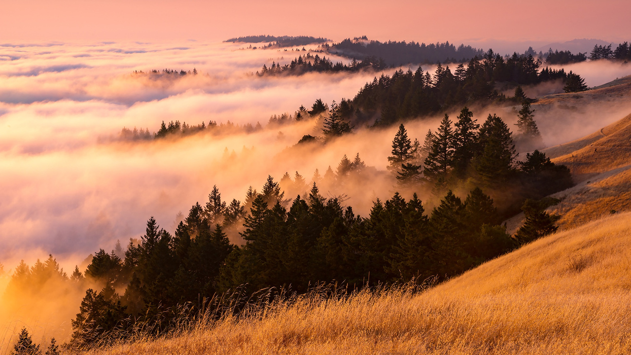 1280x720 Fog Landscape 720P ,HD 4k Wallpapers,Images,Backgrounds,Photos ...