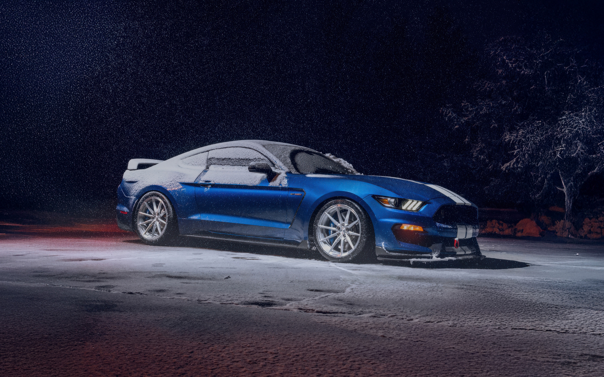 1920x1200 Ford Mustang In Snow Capped Muscle 1080P Resolution ,HD 4k ...