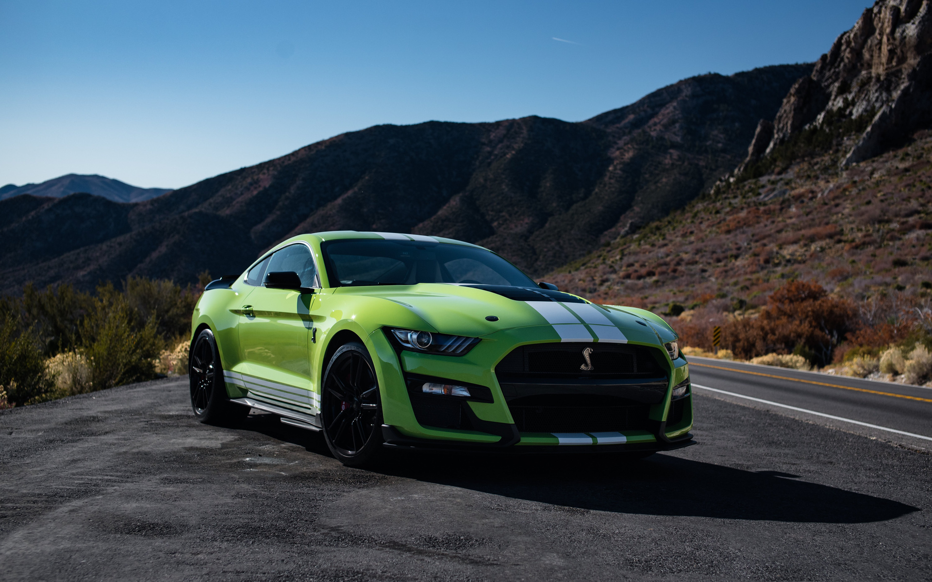 1920x1200 Ford Mustang Shelby GT500 5k 2020 1080P Resolution ,HD 4k ...