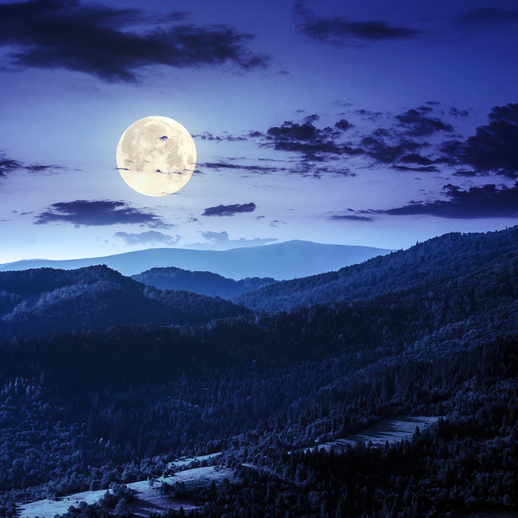 1024x1024 Forest Night Moon Clouds 4k 1024x1024 Resolution HD 4k ...