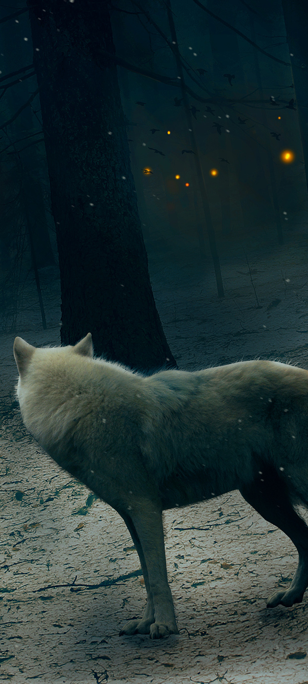 1080x2400 Fox In Dark Forest Google Pixel 7 ,HD 4k Wallpapers,Images ...