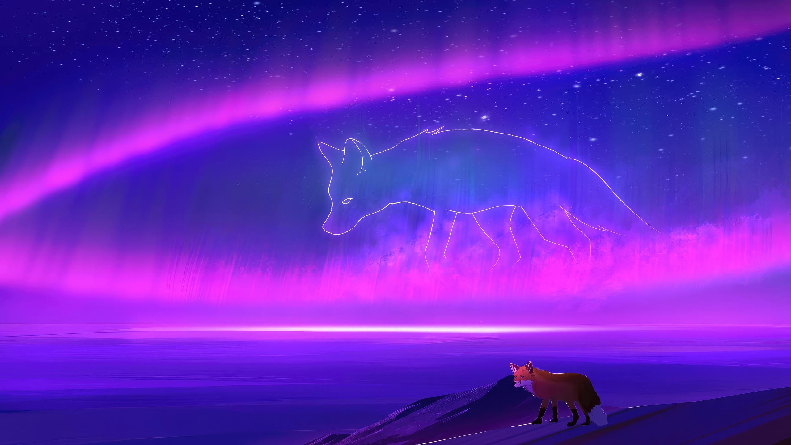 2560x1440 Fox Unique Encounter 1440P Resolution ,HD 4k Wallpapers ...