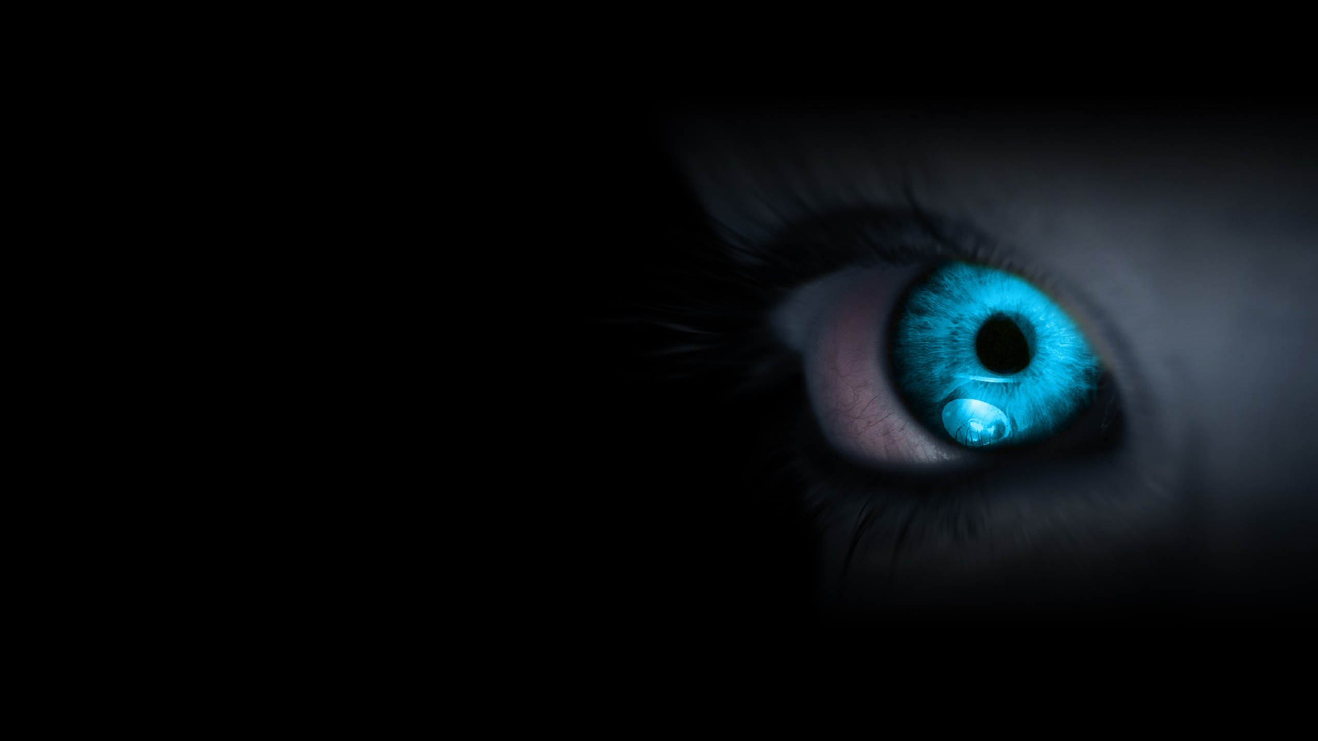 2560x1440 Glowing Eye 1440P Resolution ,HD 4k Wallpapers,Images ...