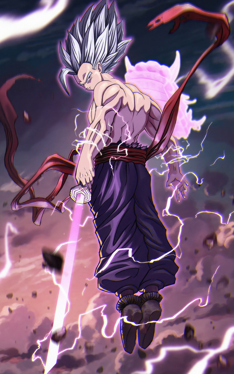 800x1280 Gohan Beast Samurai Nexus 7,Samsung Galaxy Tab 10,Note Android ...