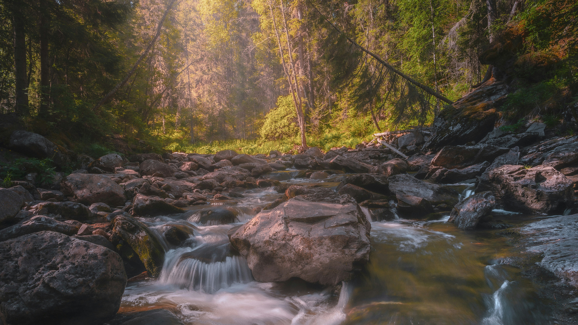 1920x1080 Golden Sunlit Forest Stream Laptop Full HD 1080P ,HD 4k ...