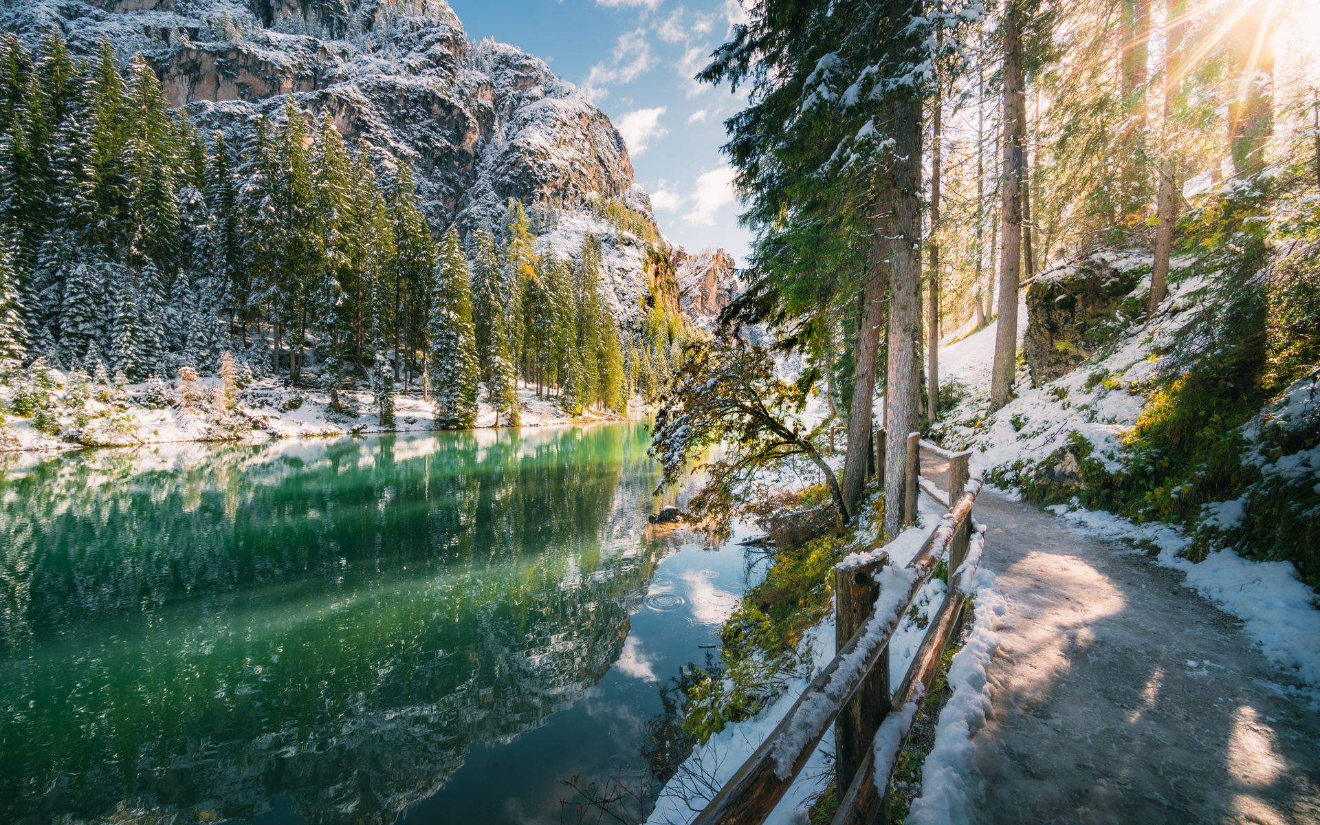 1920x1200 Green Trees Near Body Of Water Reflection 8k 1080P Resolution ...