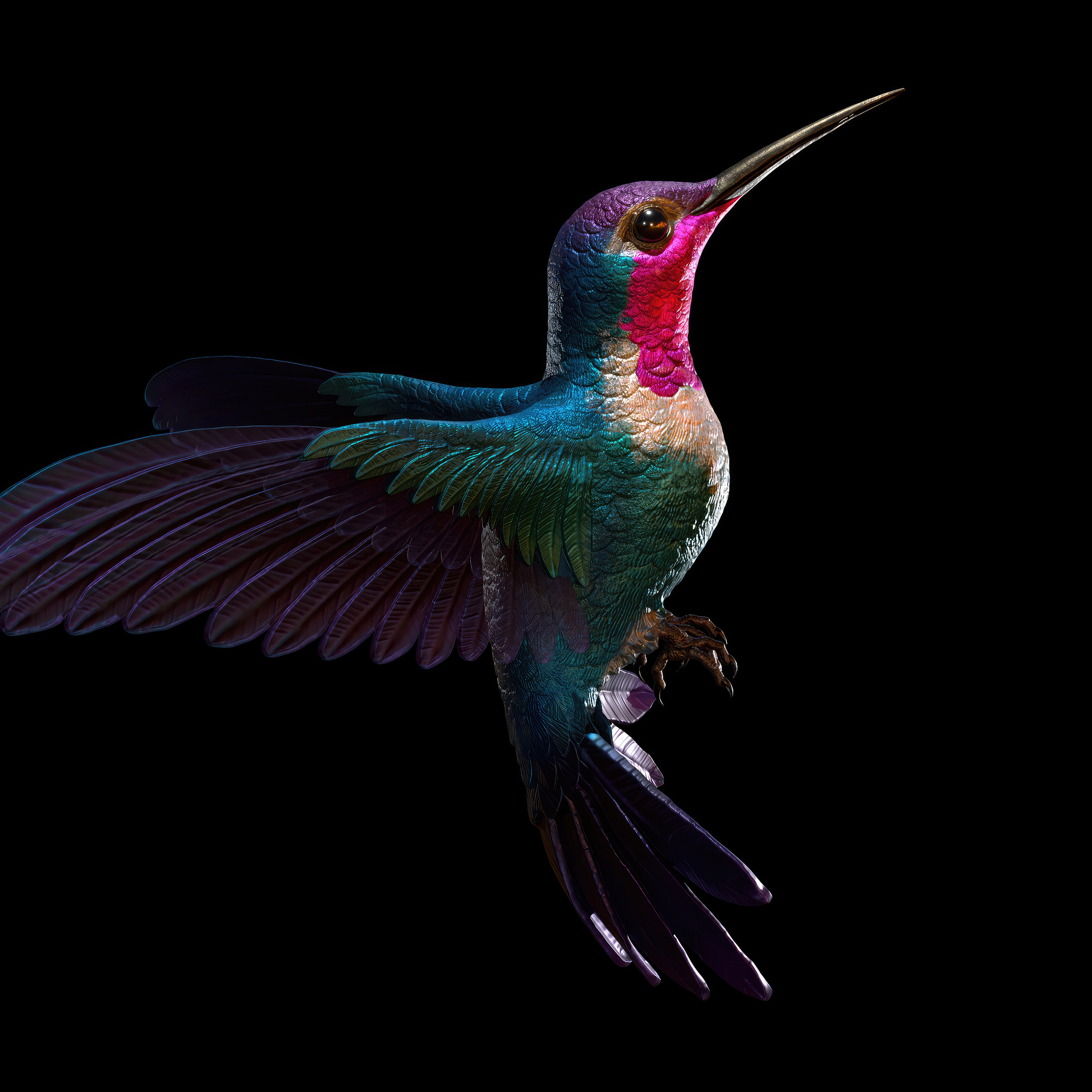 2048x2048 Hummingbird Dark 5k Ipad Air ,HD 4k Wallpapers,Images ...