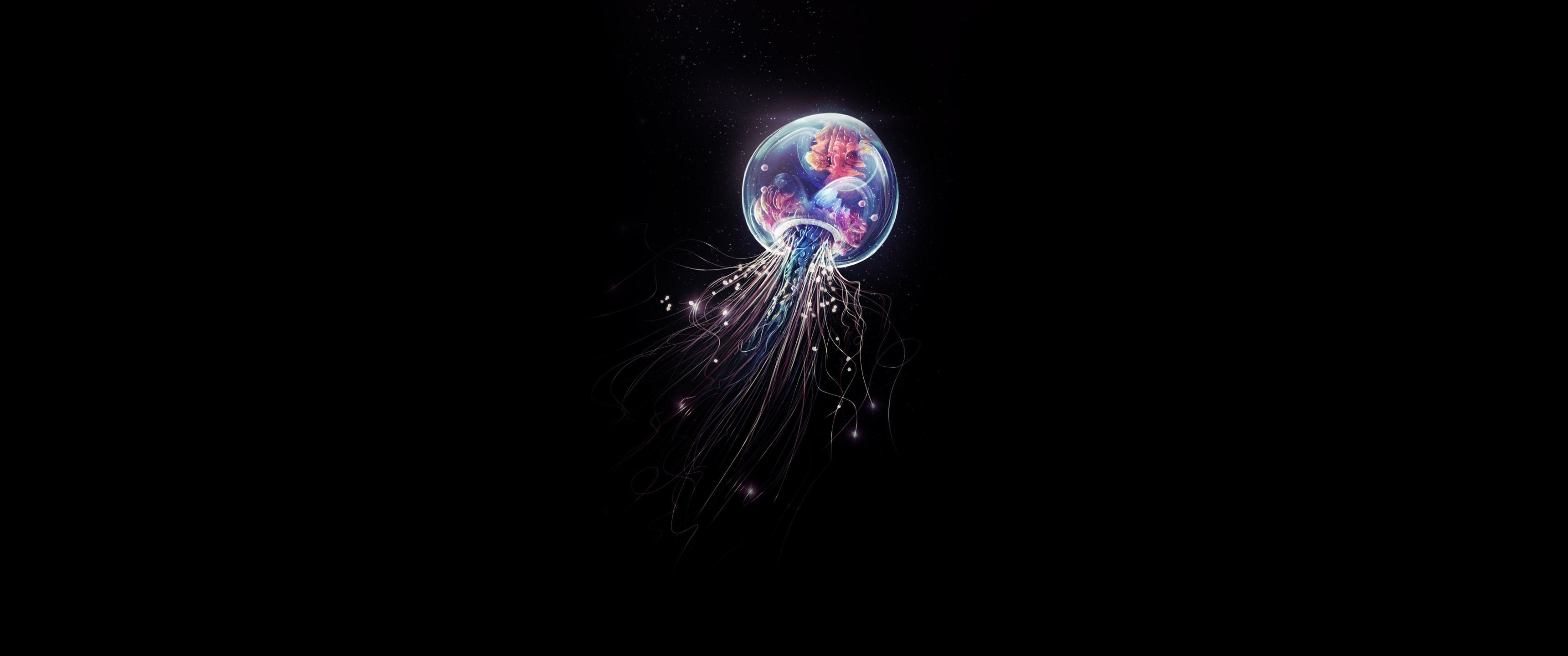 3440x1440 Jellyfish Minimalist 4k UltraWide Quad HD 1440P ,HD 4k ...