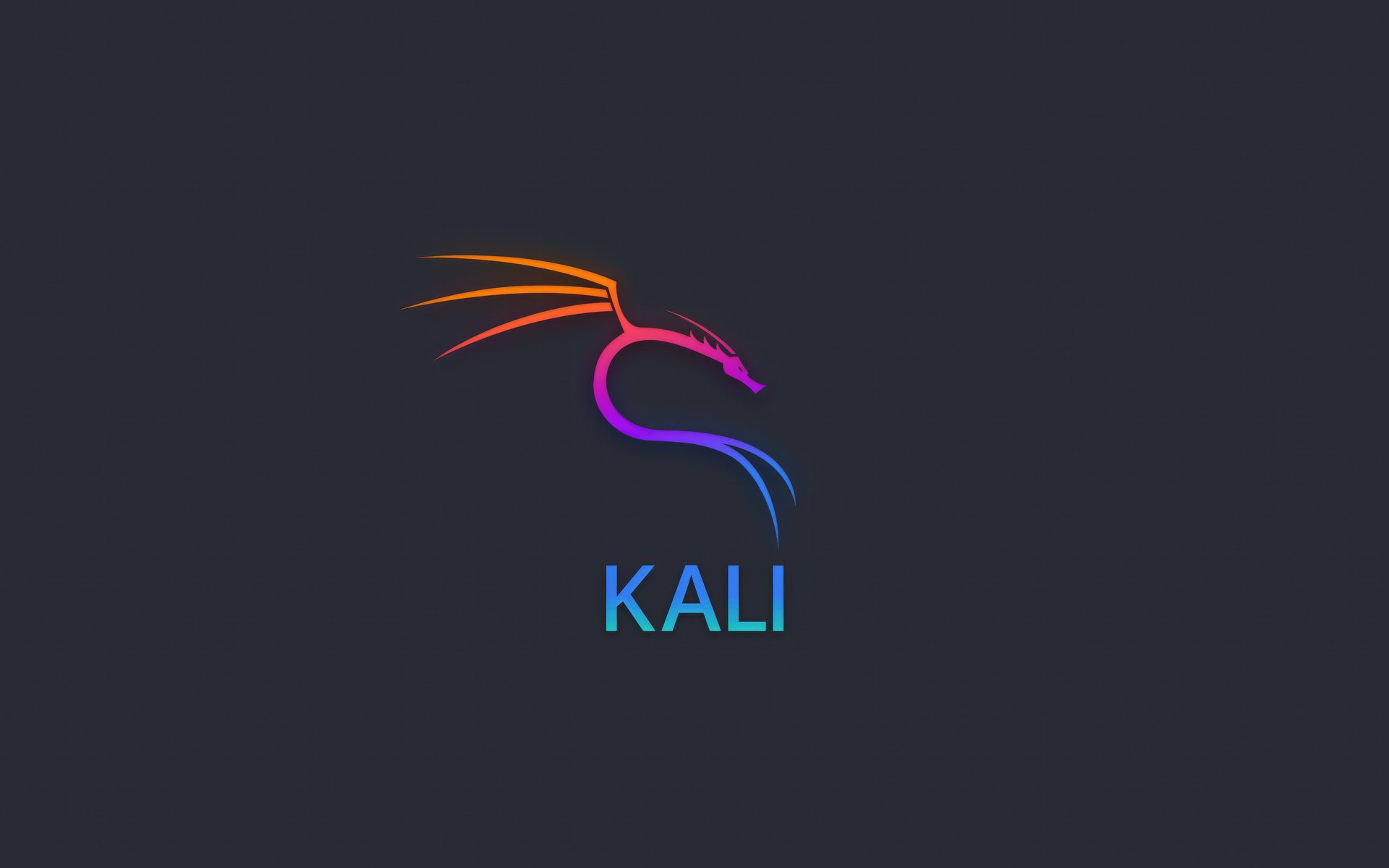 1920x1200 Kali Linux 5k 1080P Resolution ,HD 4k Wallpapers,Images ...