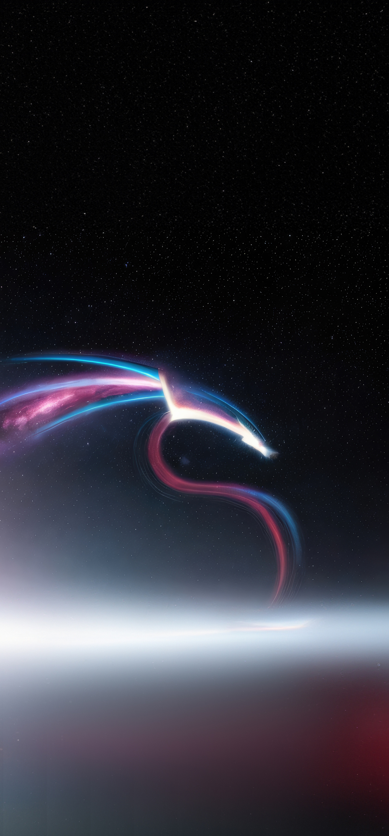 1242x2668 Kali Linux Distro Iphone XS MAX ,HD 4k Wallpapers,Images ...